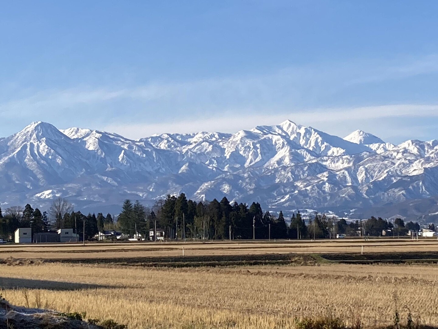 仕事納めにふさわしい天候。 ホワイトマウ... / naokiさんのモーメント | YAMAP / ヤマップ