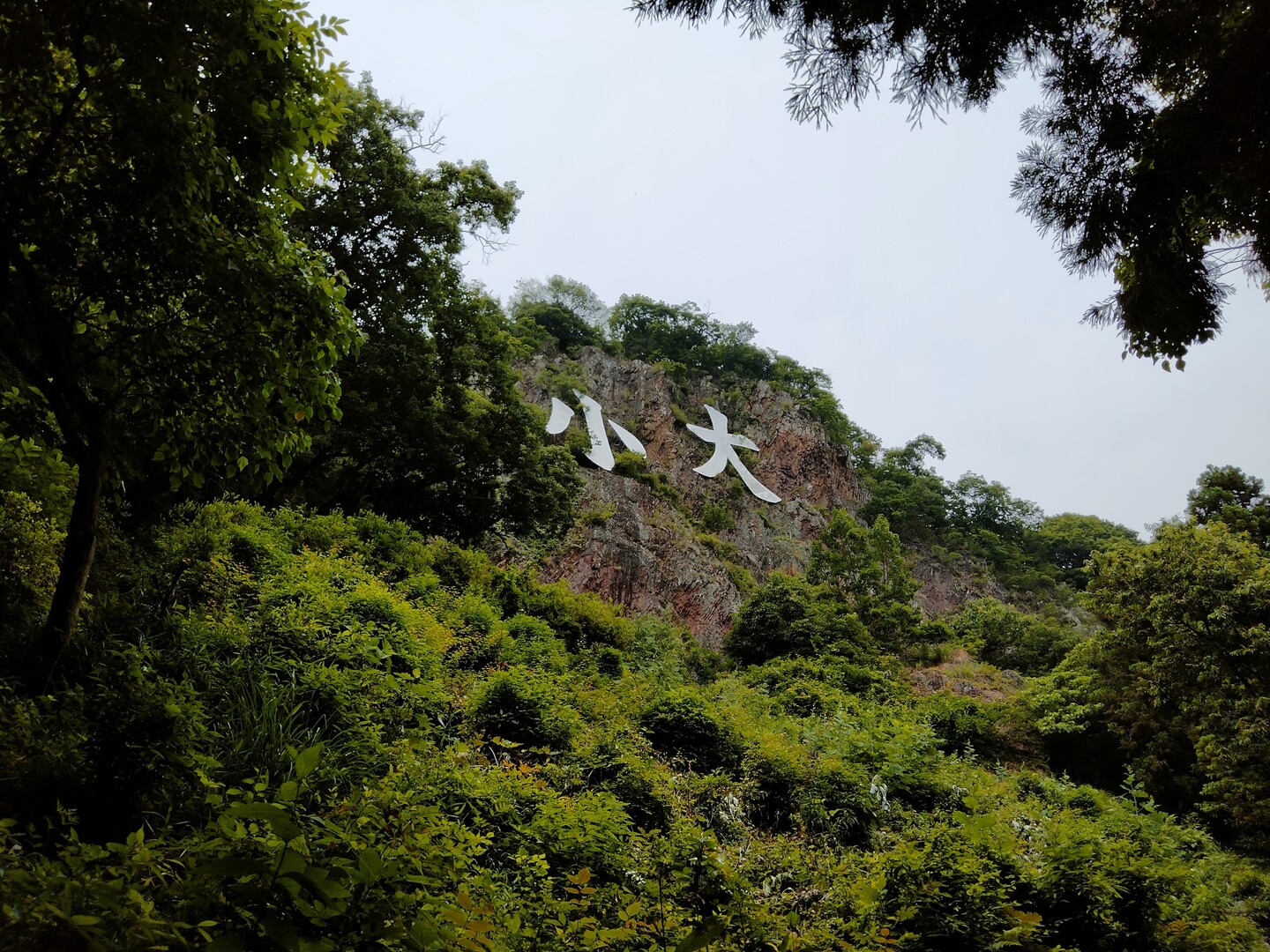 CRP15.27mg/dLの大小山・妙義山 / TaK 🔰さんの大小山（妙義山）・西場富士の活動日記 | YAMAP / ヤマップ