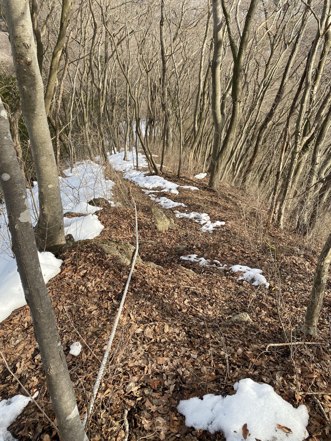 Gentil15さんの投稿したフィールドメモ | YAMAP / ヤマップ