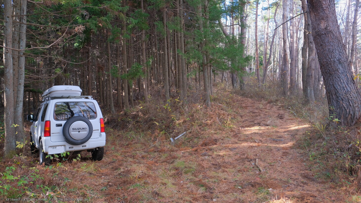 岩倉山293m(気仙沼市) / an(アン)さんの徳仙丈山の活動日記 | YAMAP / ヤマップ