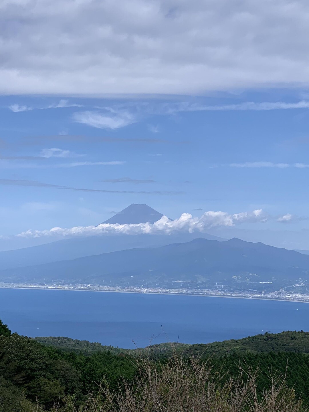 金冠山・小達磨山・達磨山 / Lucy mさんの金冠山・達磨山・葛城山の活動データ | YAMAP / ヤマップ