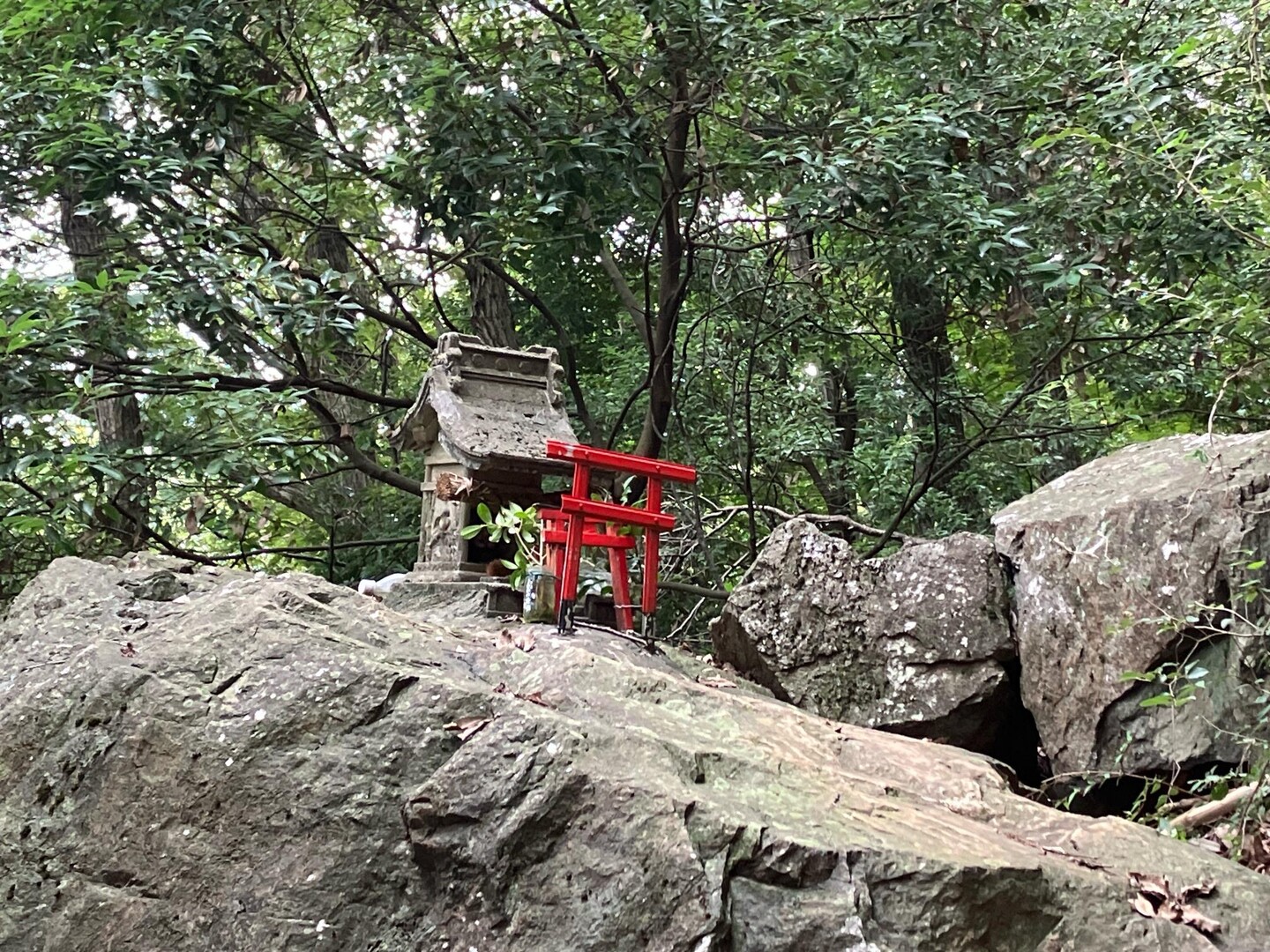 吾妻山・女吾妻山 / REI - KOさんの鳴神山・吾妻山の活動データ | YAMAP / ヤマップ