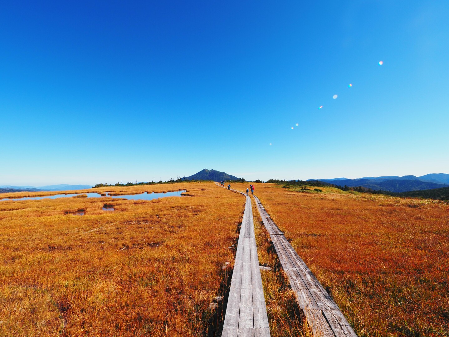 秋の尾瀬 / t-phanさんの尾瀬・燧ヶ岳の活動データ | YAMAP / ヤマップ