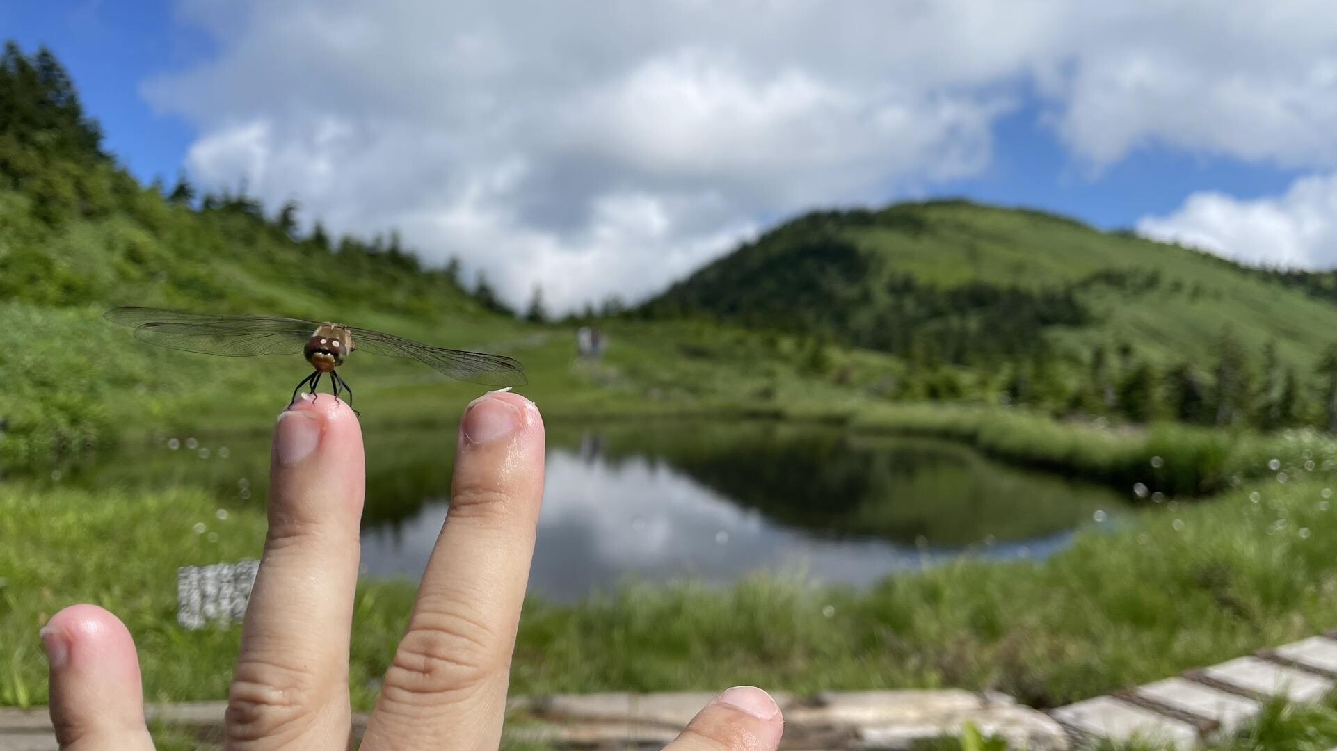 会津駒ヶ岳・中門岳 / nkakさんの会津駒ヶ岳の活動データ | YAMAP / ヤマップ