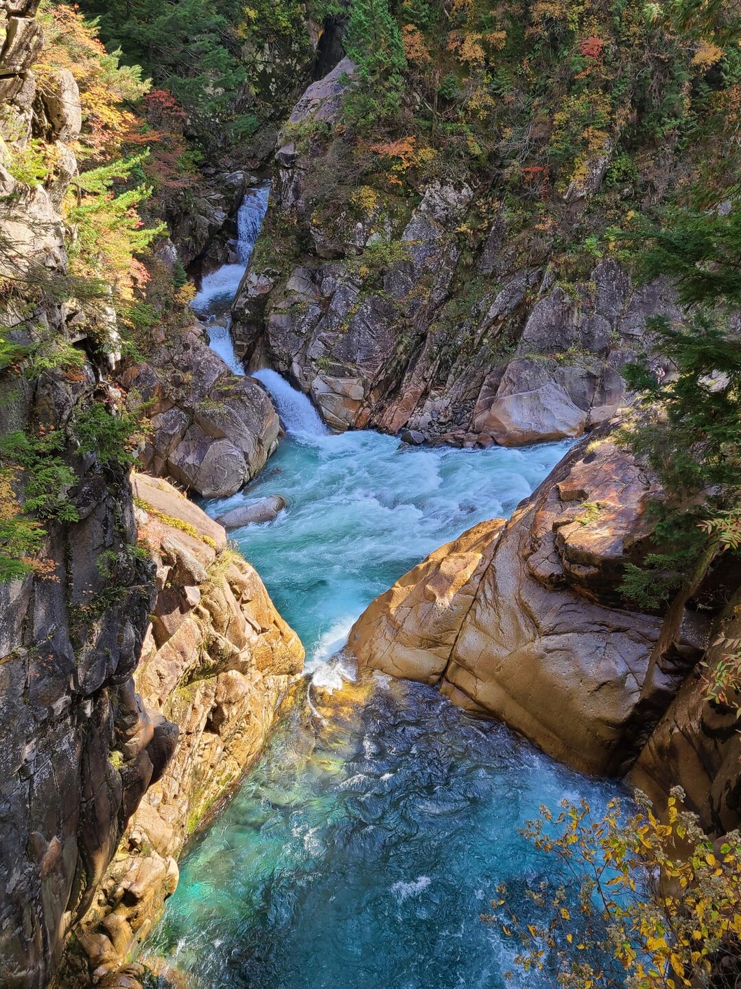 流星群のページ | YAMAP / ヤマップ