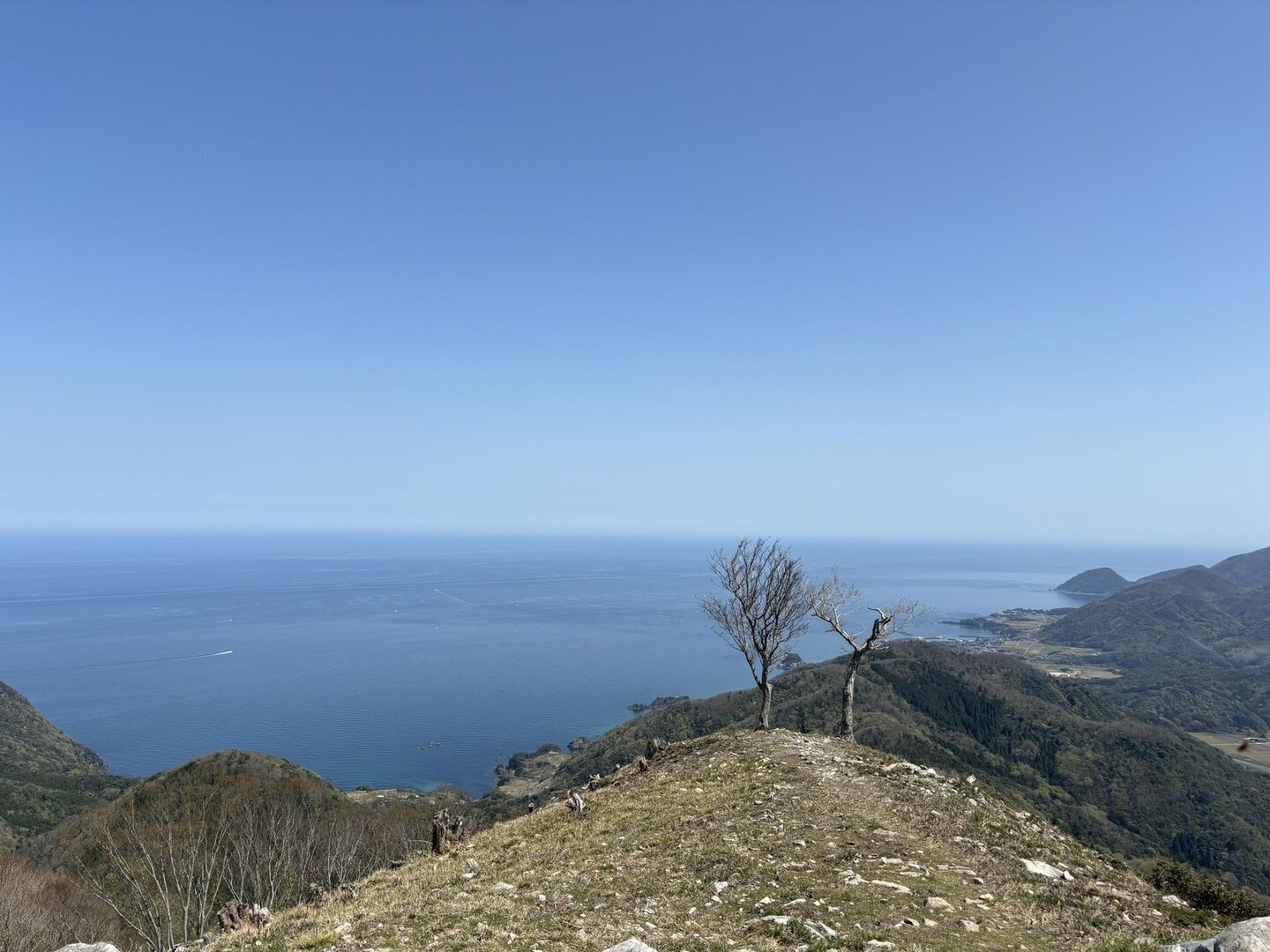 依遅ヶ尾山 / fumiさんの依遅ヶ尾山の活動データ | YAMAP / ヤマップ