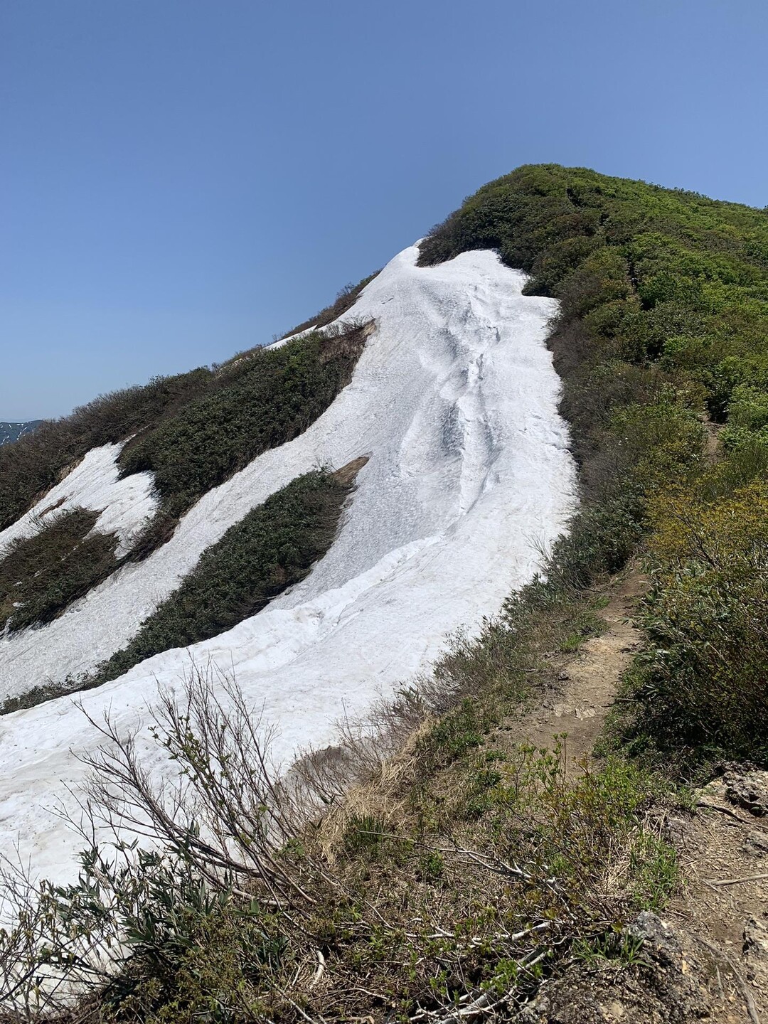 粟ヶ岳 / TKSNDさんの粟ヶ岳・權ノ神岳・宝蔵山の活動データ | YAMAP / ヤマップ