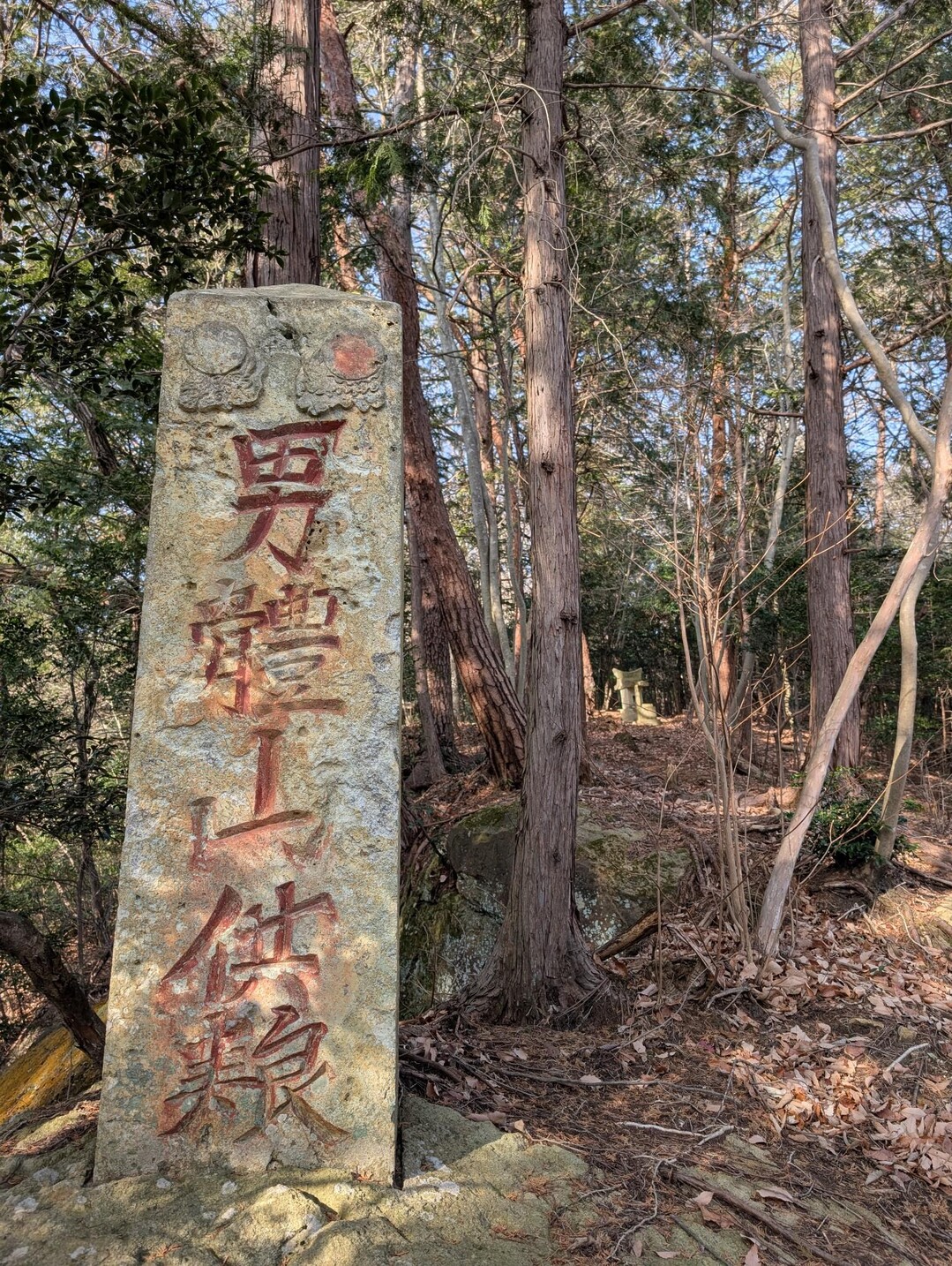 男抱山・半蔵山・羽黒山・土平山 / noraさんの篠井富屋連峰（宇都宮アルプス）の活動データ | YAMAP / ヤマップ