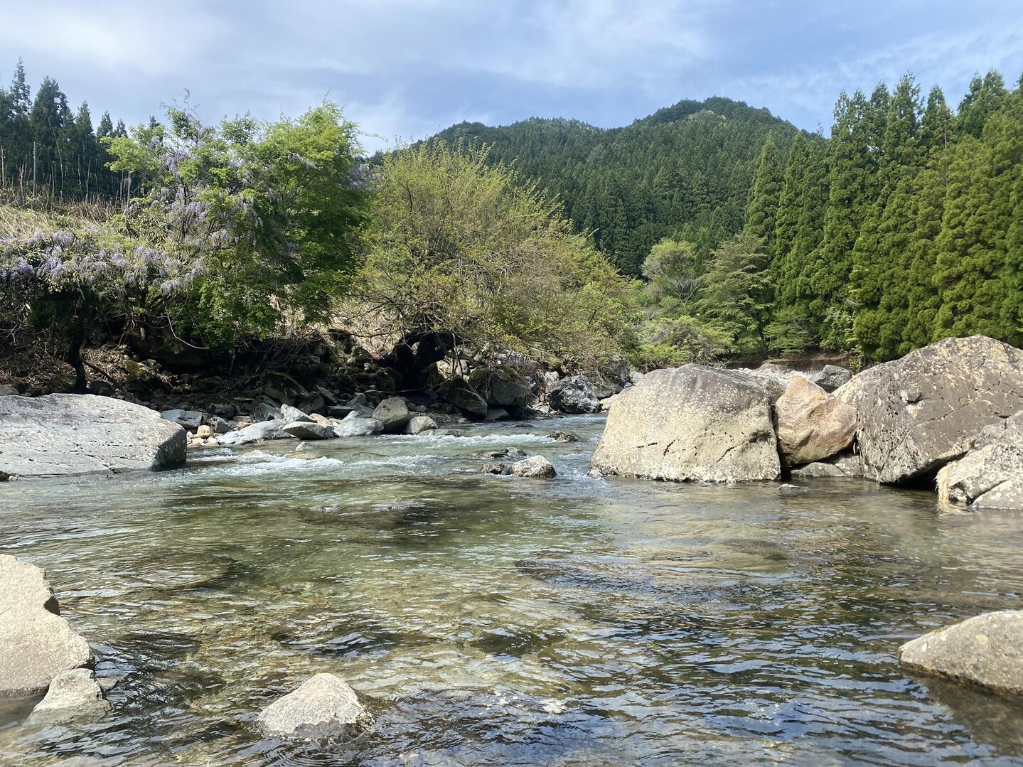 GW真っ只中 山⛰行っても人多そうなので... / ka10_UKさんのモーメント | YAMAP / ヤマップ