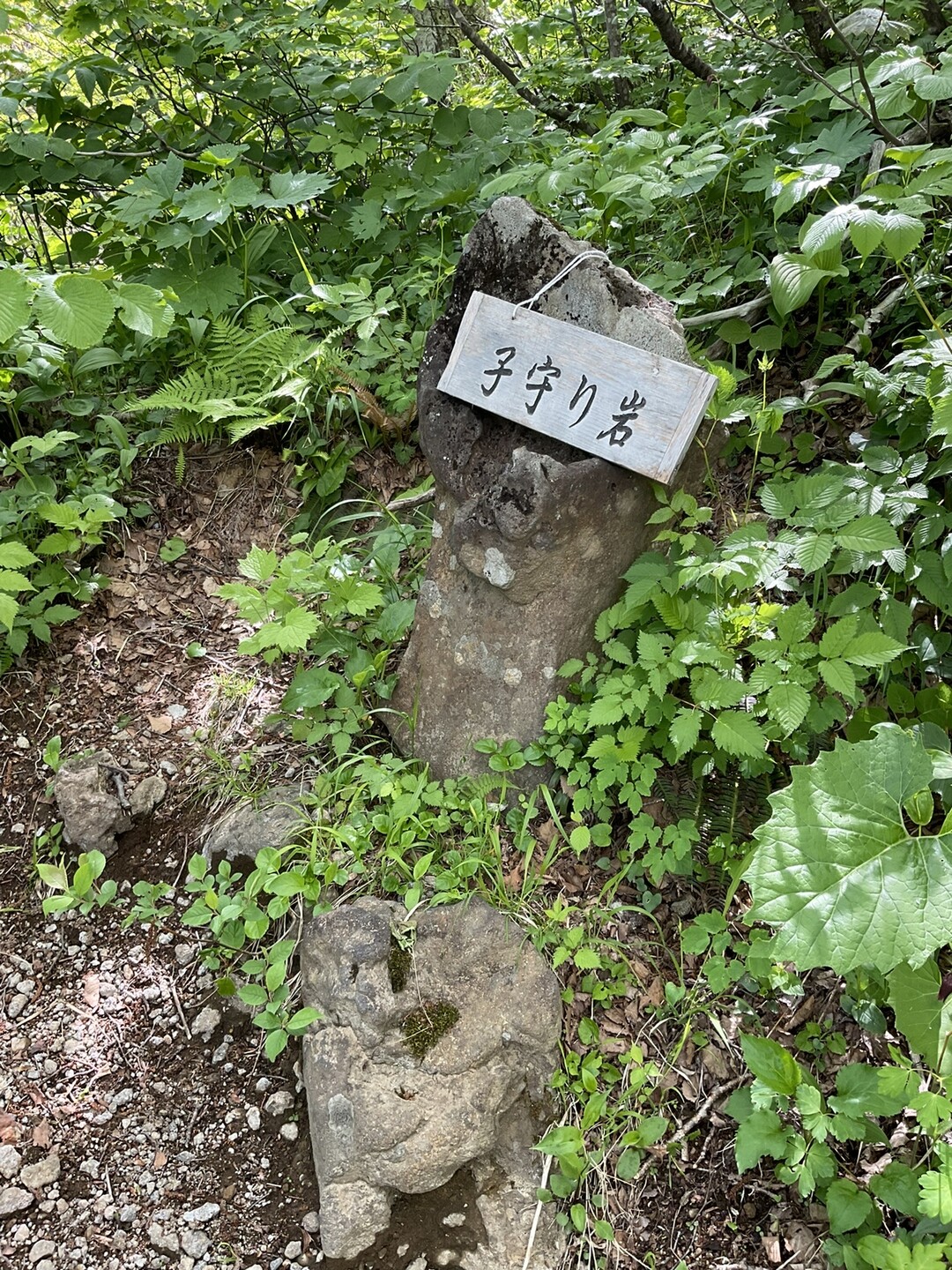 やっくんさんの投稿したフィールドメモ | YAMAP / ヤマップ