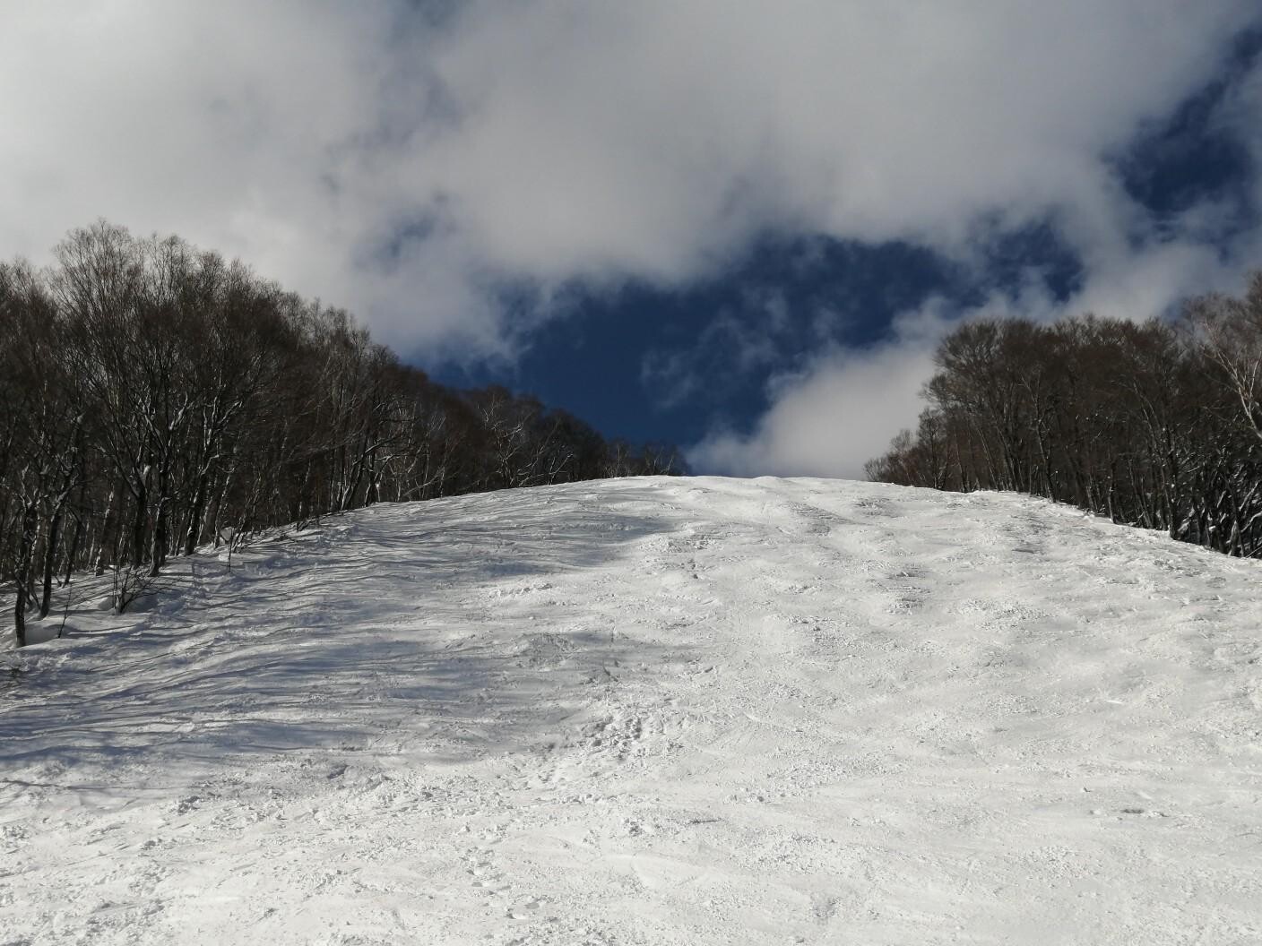 今シーズン3回目の妙高杉ノ原。 実は最... / JuJu さんのモーメント | YAMAP / ヤマップ