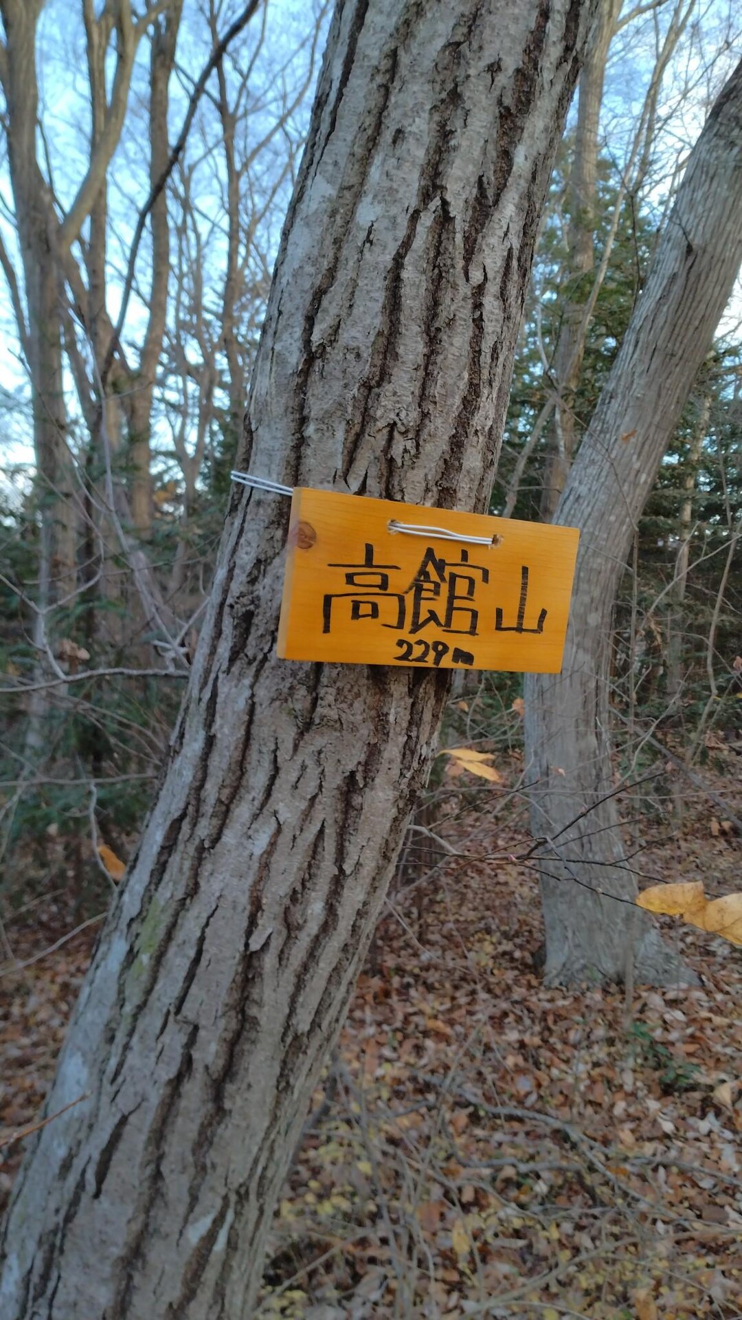 高館山 / type52さんの常陸大宮市の活動データ | YAMAP / ヤマップ