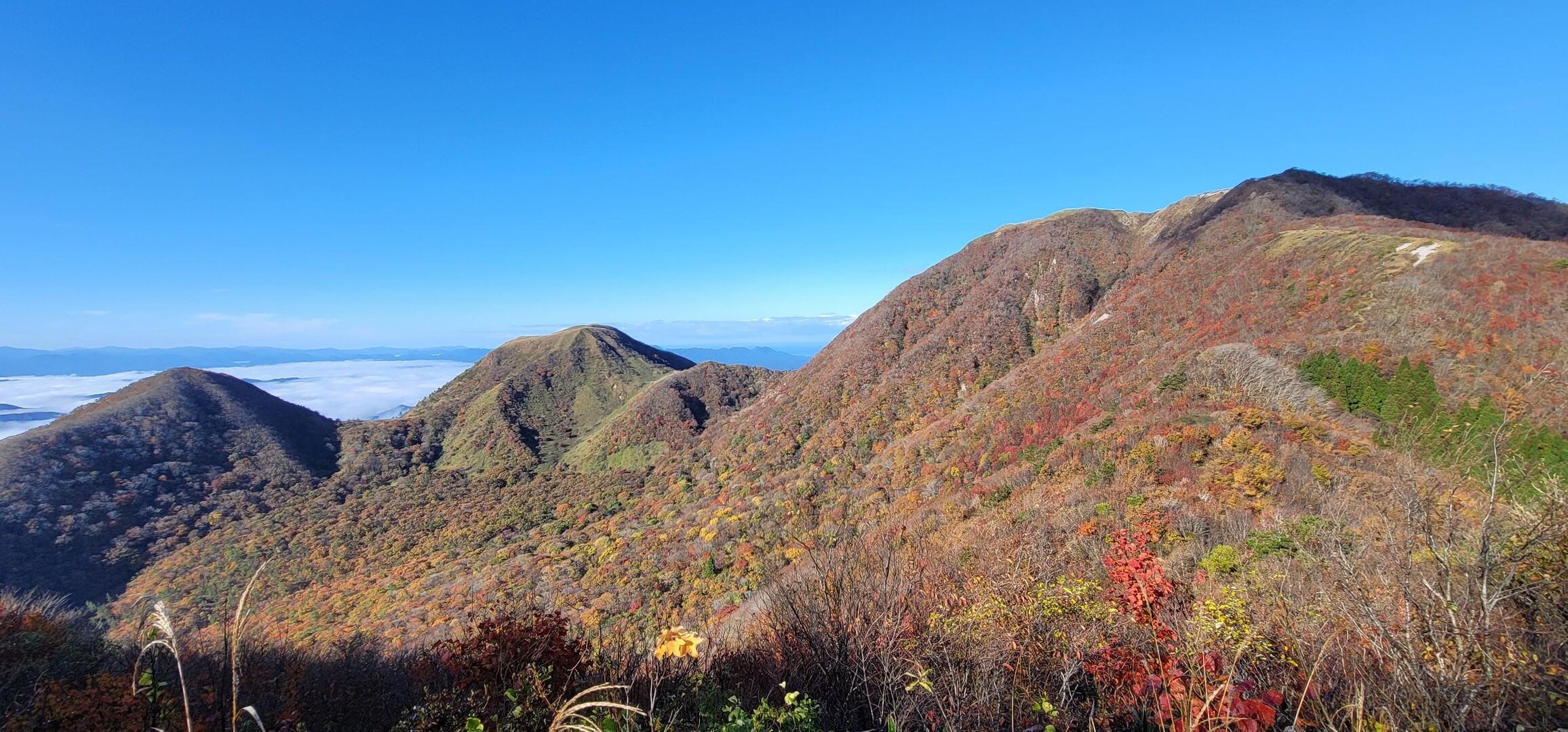 紅葉🍁の三瓶山お鉢巡りへ / ラスカル🔺ネロさんの三瓶山・大平山の活動データ | YAMAP / ヤマップ