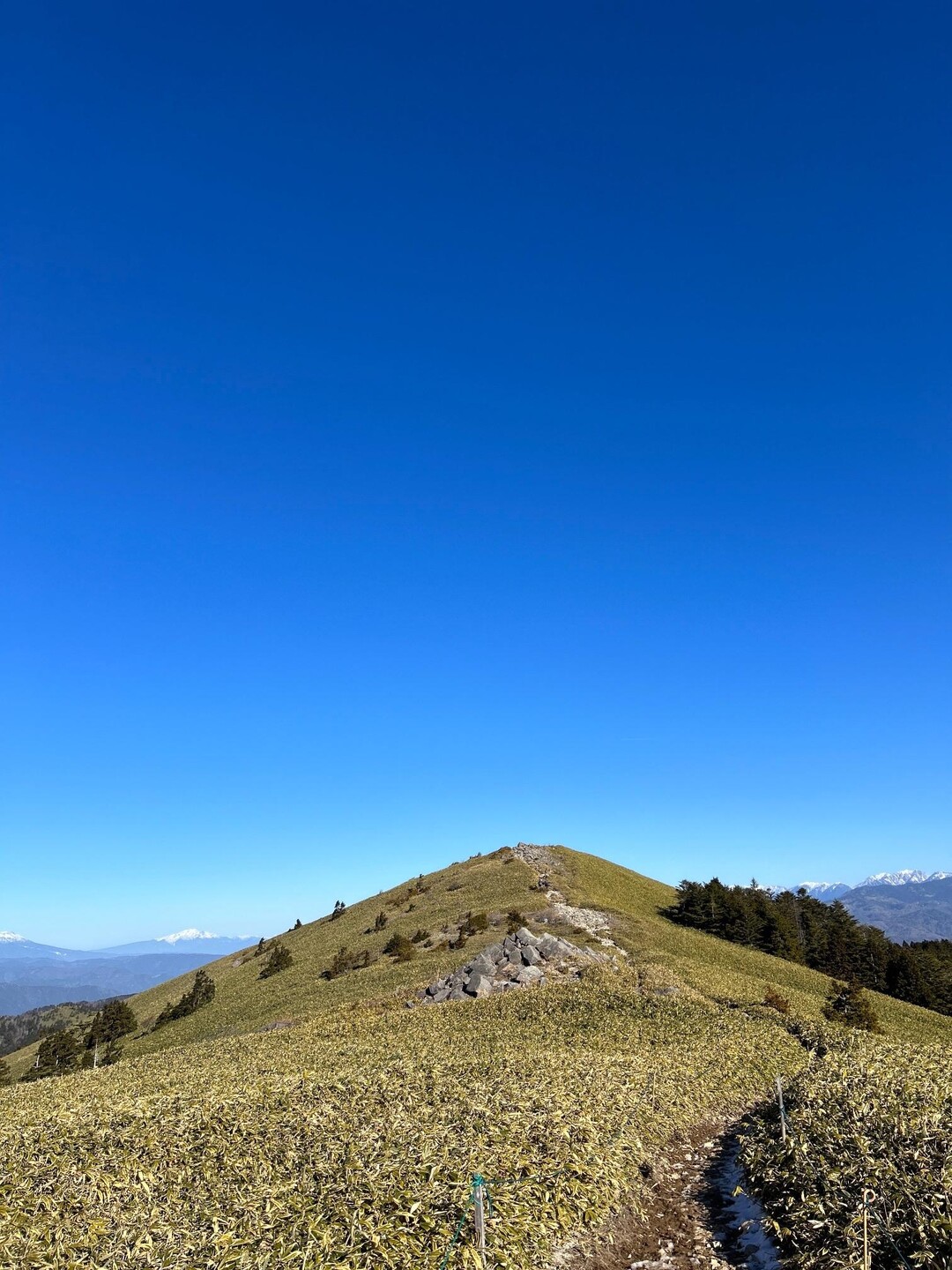 Blue Sky富士見台☀️ / だいすけさんのウォーキングの活動データ | YAMAP / ヤマップ