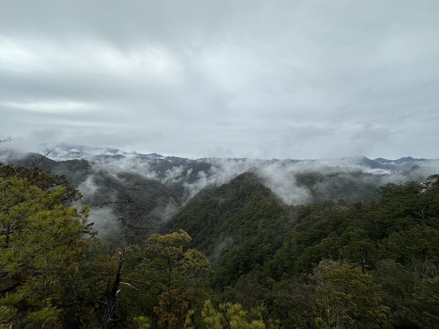 OSJ新城32K / よしPさんの宇連山・鳳来寺山・岩古谷山の活動データ | YAMAP / ヤマップ