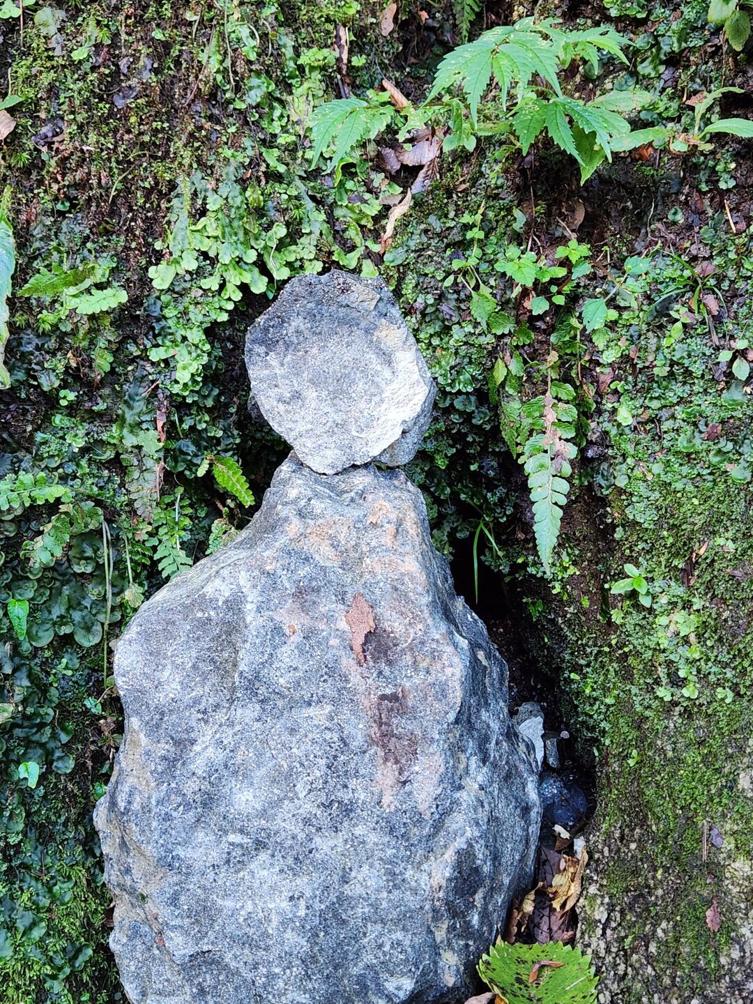 自己責任でm(_ _)m 恐竜の化石と ... / 北京げんじんさんのモーメント | YAMAP / ヤマップ