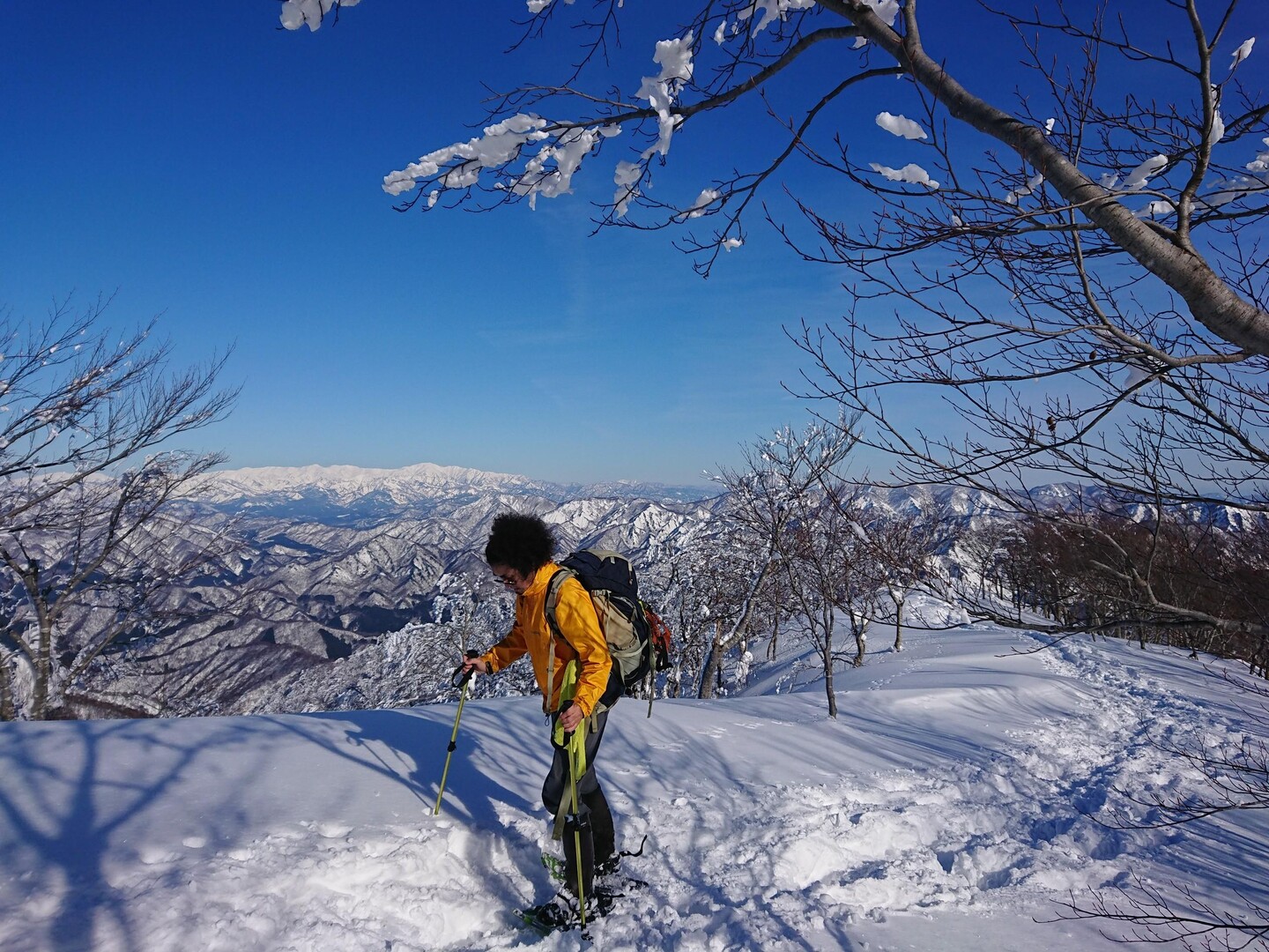 白山 ↑田村線〜尾根線↓ / tak_kerさんの粟ヶ岳・權ノ神岳・宝蔵山の活動データ | YAMAP / ヤマップ