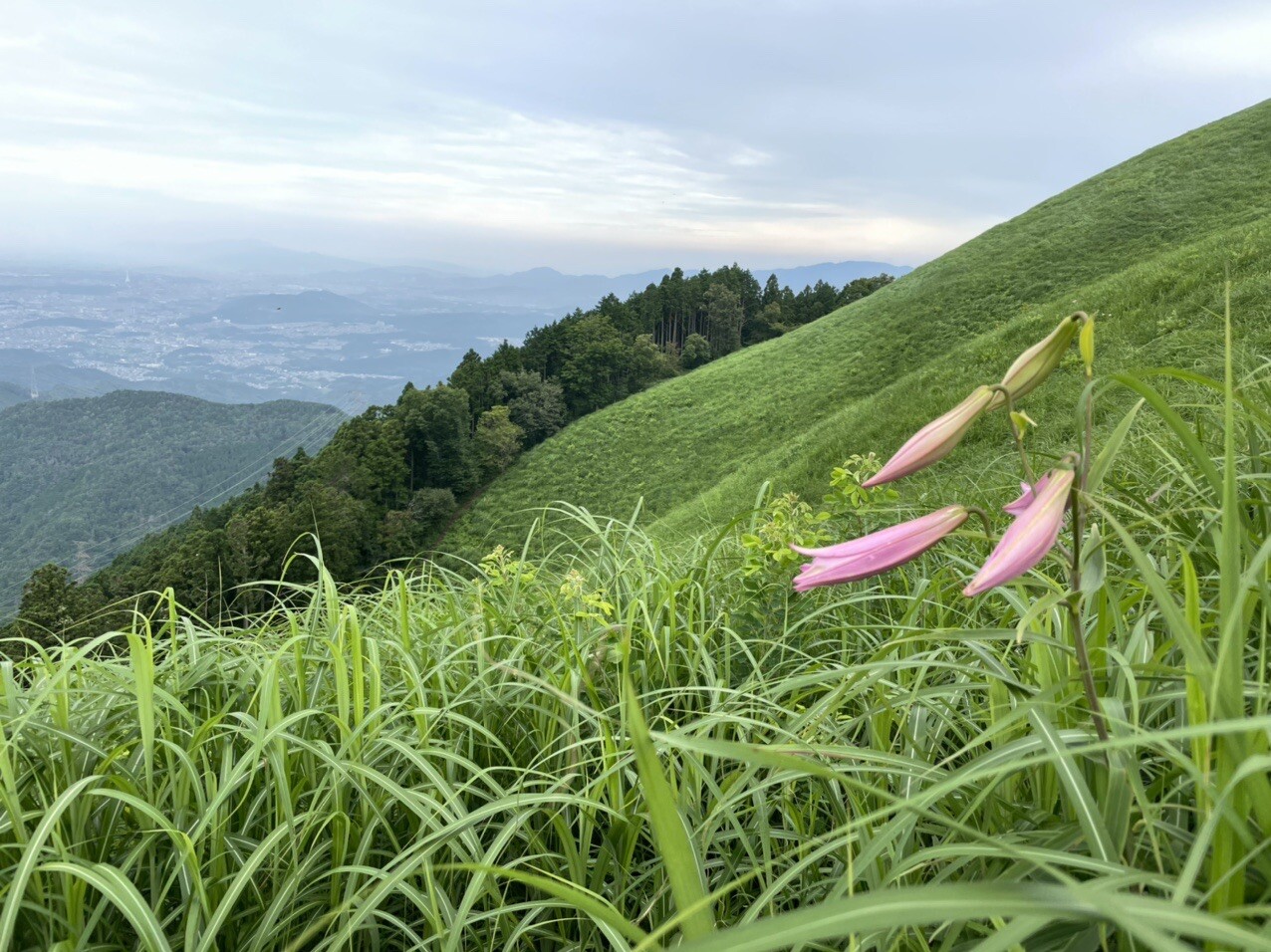 岩湧山🏵 / cacoさんの岩湧山・一徳防山・三石山の活動データ | YAMAP / ヤマップ