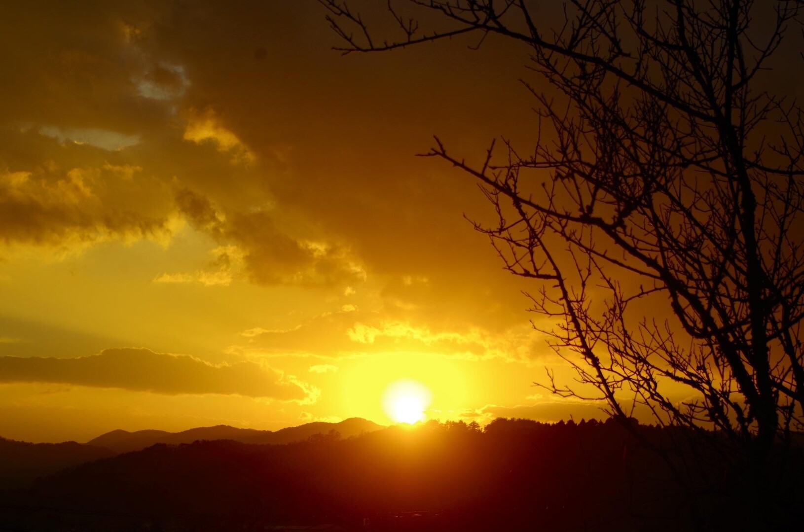いつものミステリーツアー🚗³₃ / 🐢ぽんこつせんさん🐢さんの八雲山・天狗山の活動データ | YAMAP / ヤマップ