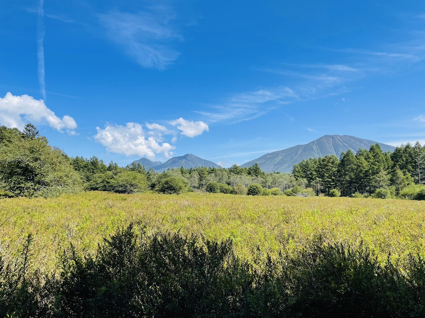 尾瀬・燧ヶ岳-2022-09-11 / masaさんの尾瀬・燧ヶ岳の活動データ | YAMAP / ヤマップ