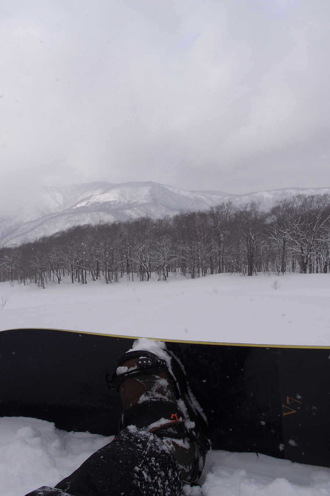 時間軸では計れない変態の遊び（秋田駒ケ岳）BC・・・2日目 / fumiさんの秋田駒ヶ岳・男女岳・貝吹岳の活動データ | YAMAP / ヤマップ