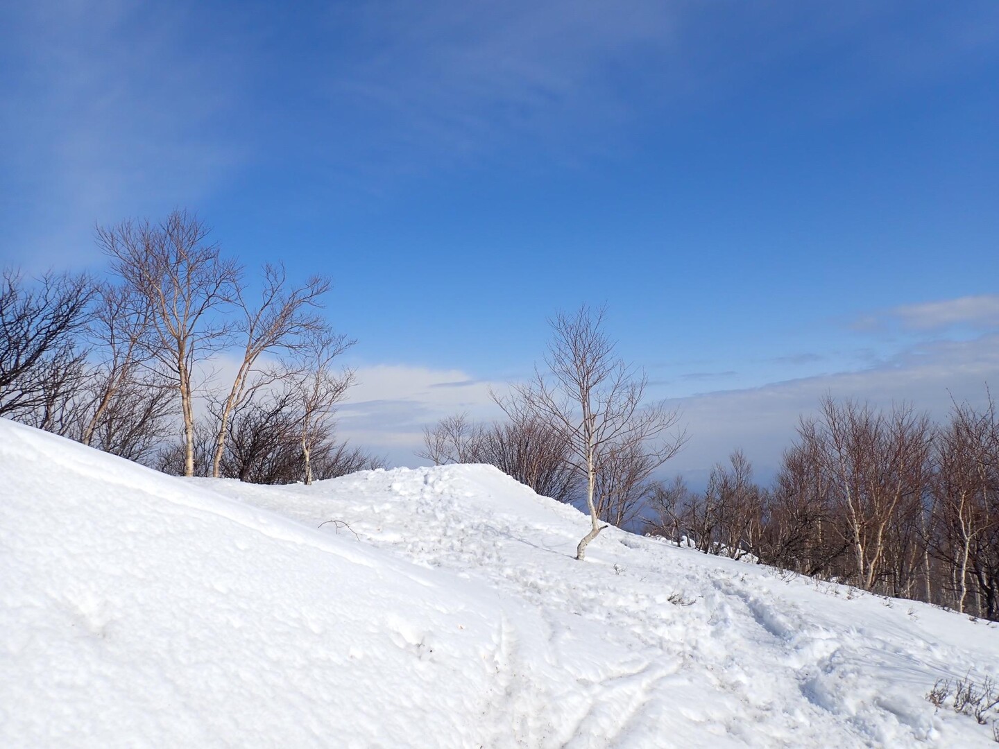 雪がとける前に… ️☃️黒檜山 / maiさんの赤城山・黒檜山・荒山の活動データ | YAMAP / ヤマップ