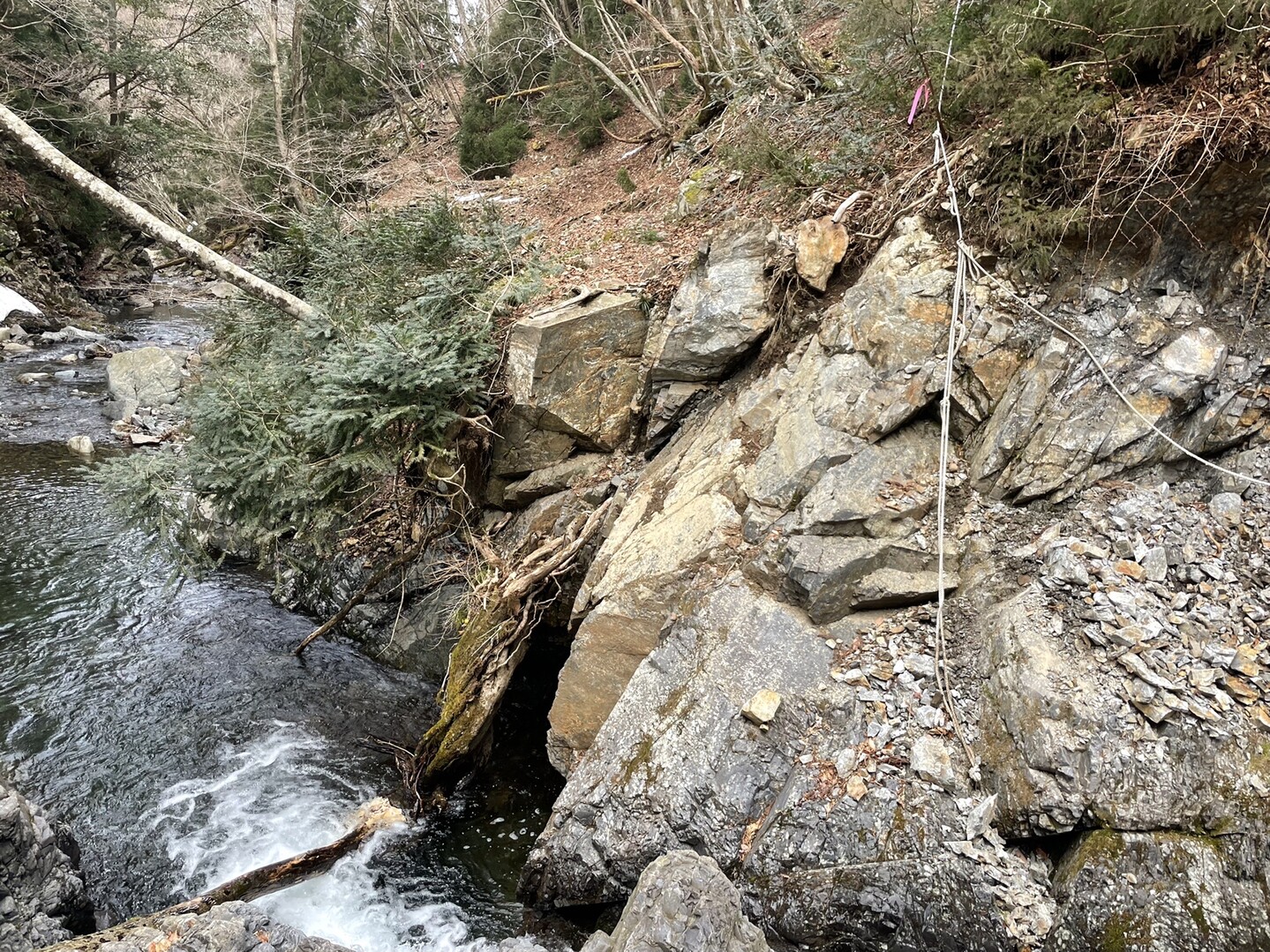 podoryさんの投稿したフィールドメモ | YAMAP / ヤマップ