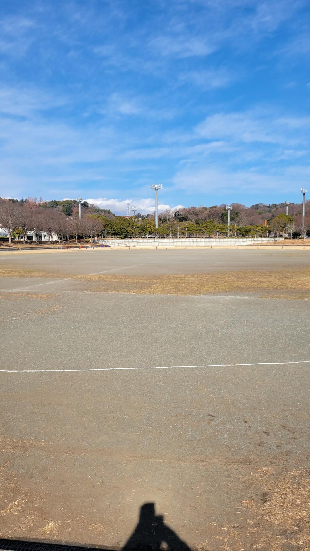 朝活に運動公園まで🚶 菜の花が咲き始め... / kazuさんのモーメント | YAMAP / ヤマップ