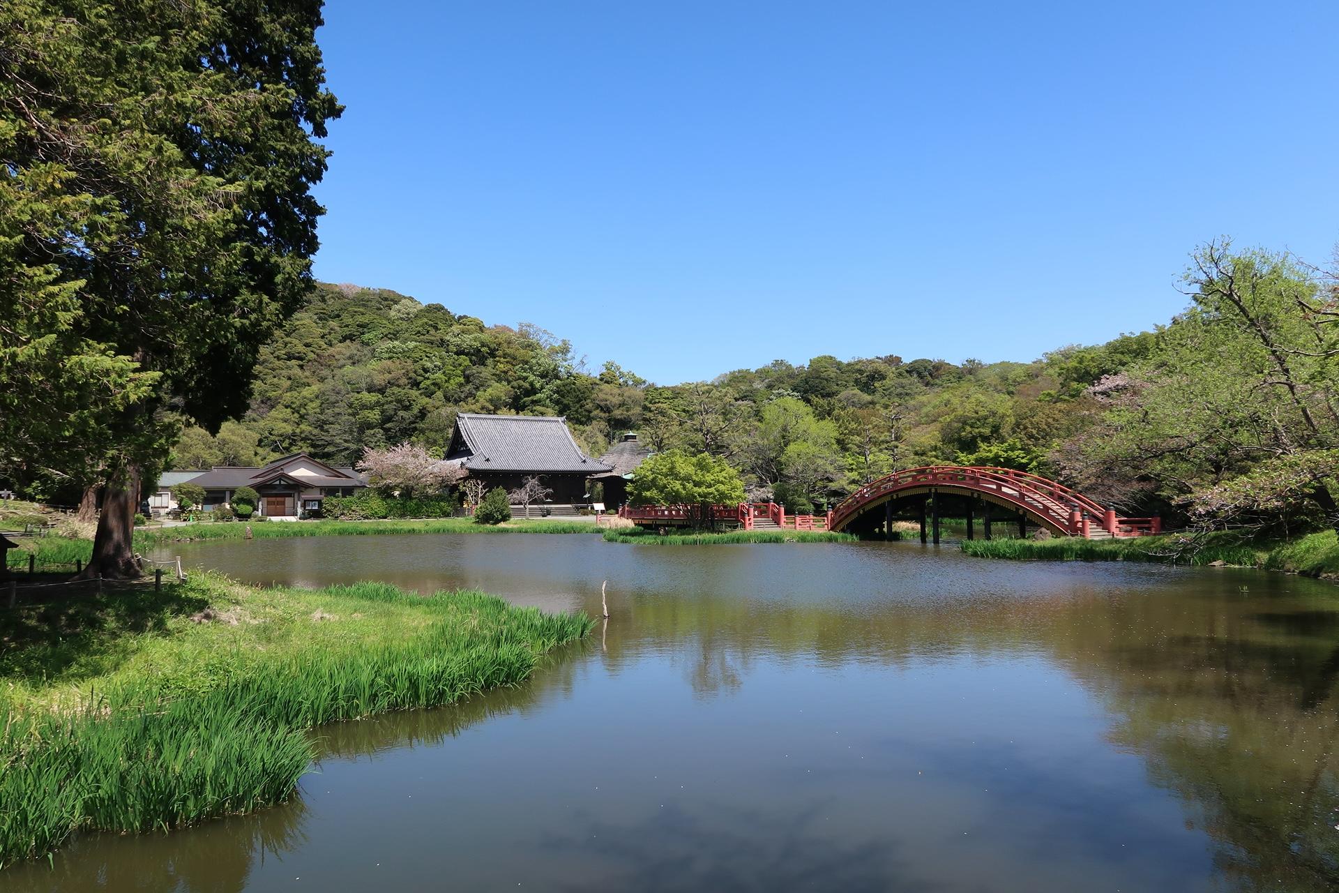 犬散歩🐕 金沢山とカフェデビュー☕️ / heeさんの金沢山・稲荷山・日向山の活動日記へのコメント一覧 | YAMAP / ヤマップ