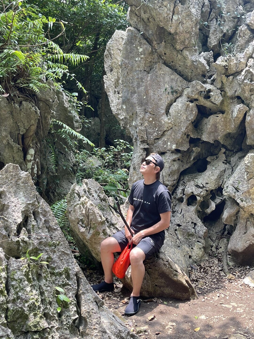 沖縄 大石林山-2024-05-08 / AFPさんのウォーキングの活動データ | YAMAP / ヤマップ