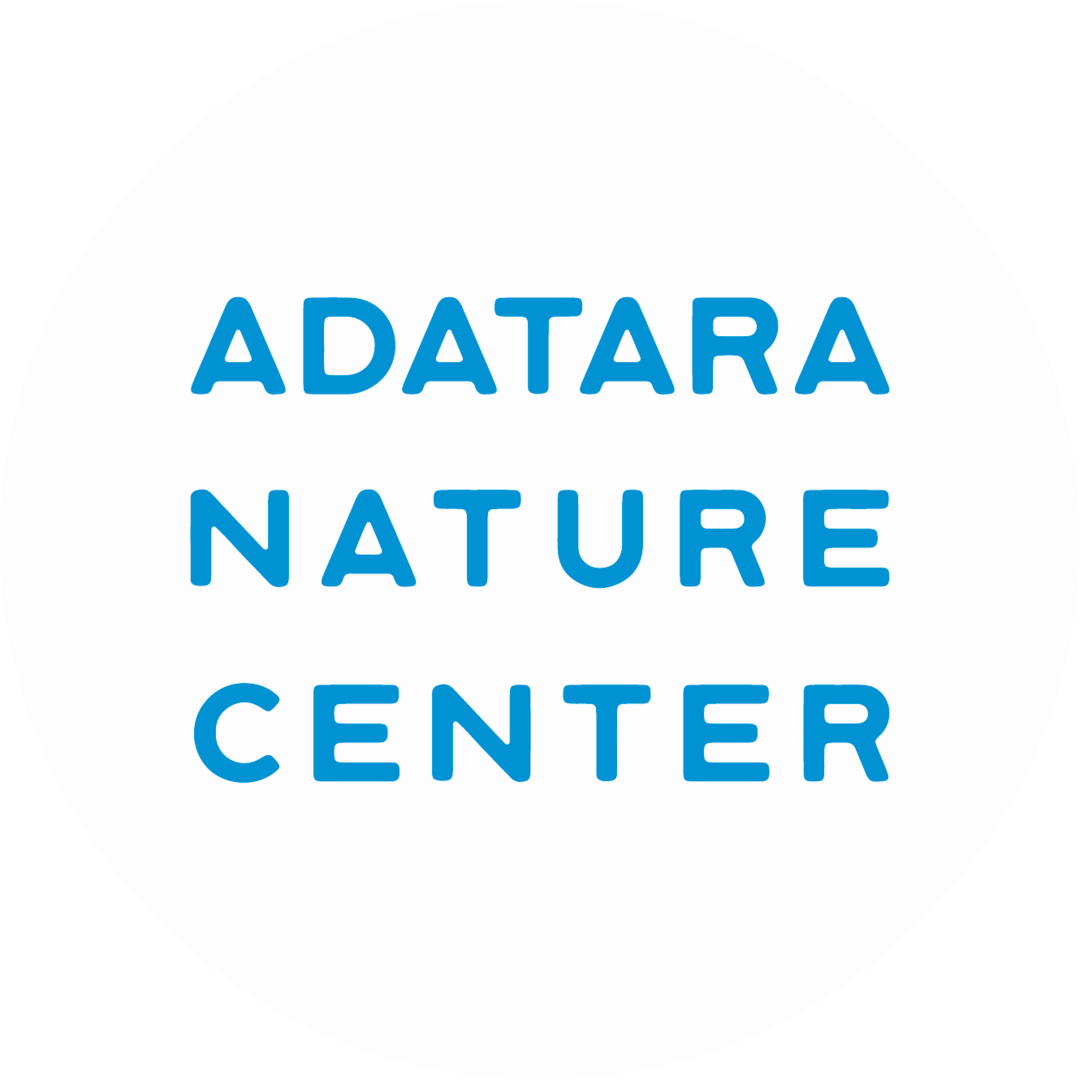 ADATARA NATURE CENTER / 安達太良自然センターのページ | YAMAP / ヤマップ