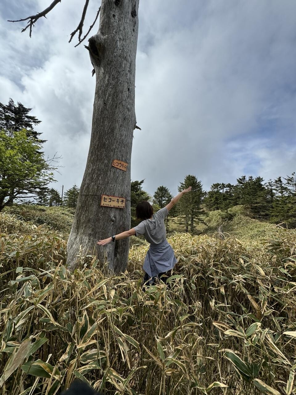 rieのページ | YAMAP / ヤマップ