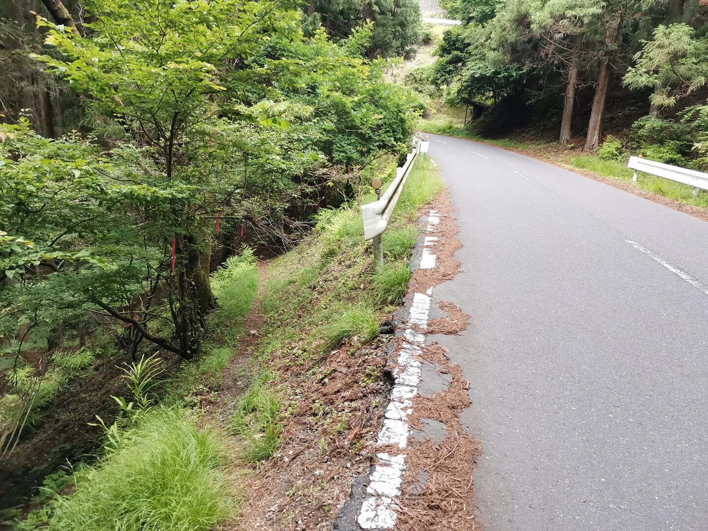 Bakiさんの投稿したフィールドメモ | YAMAP / ヤマップ