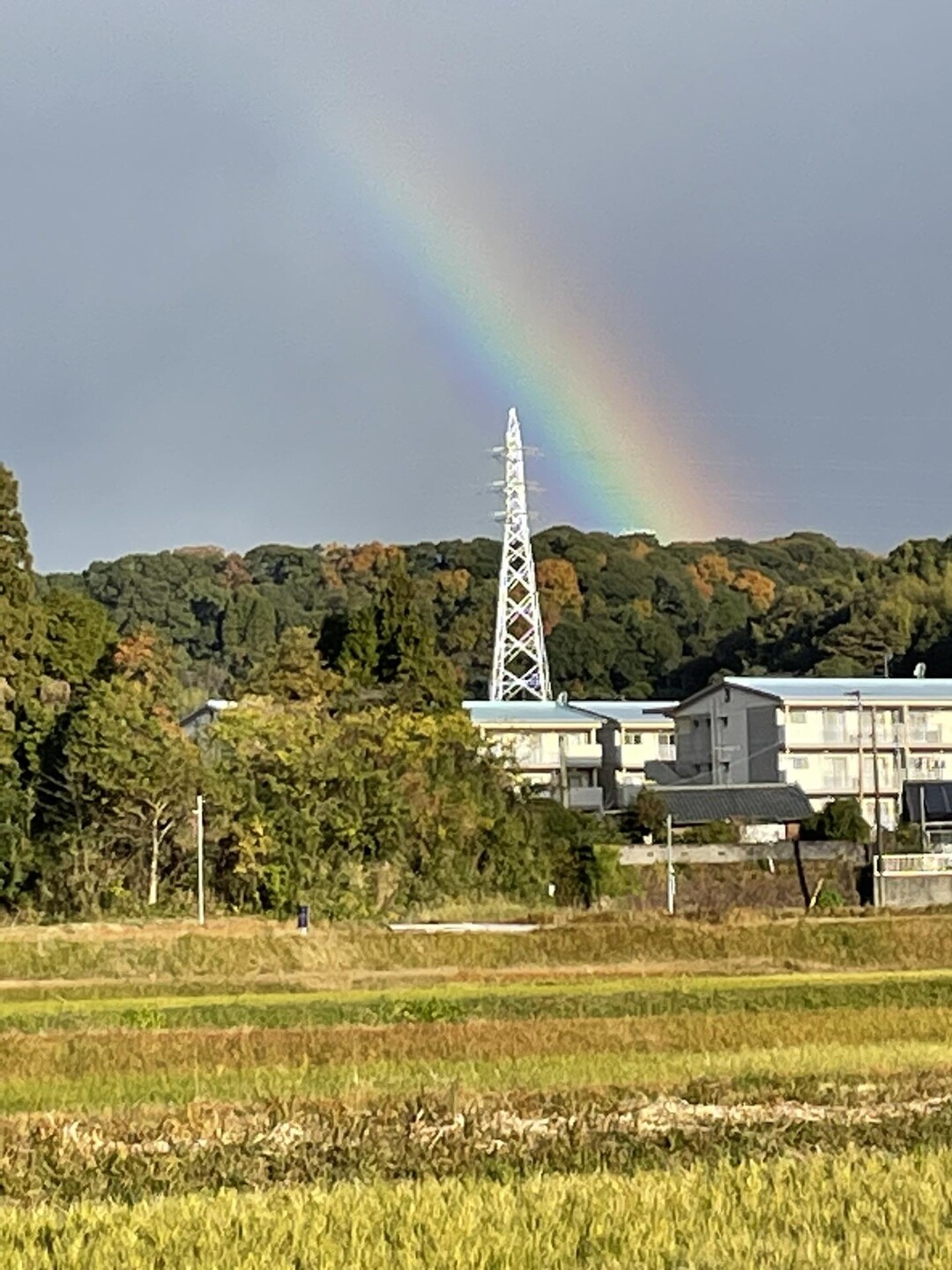 小雨の中、ウォーキングに出発🚶‍♀️ ... / みおさんのモーメント | YAMAP / ヤマップ