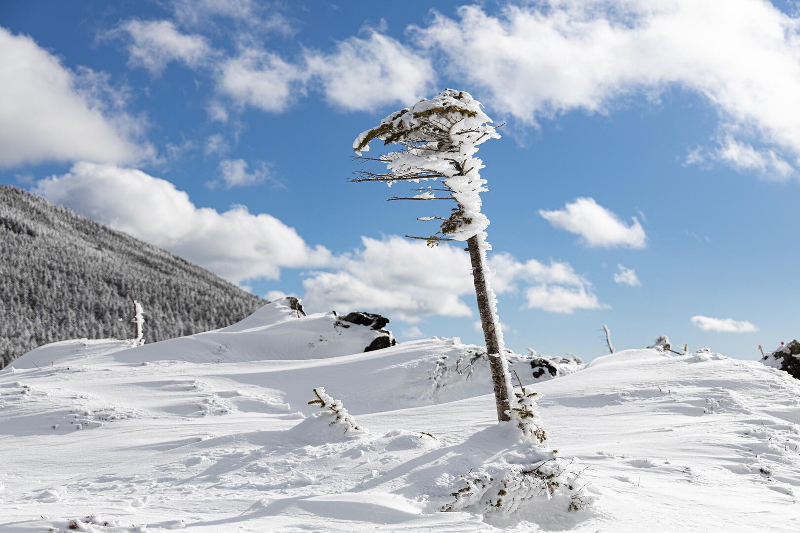 晴天の北横岳 / Tetsu Shionumaさんの蓼科山・横岳・縞枯山の活動データ | YAMAP / ヤマップ