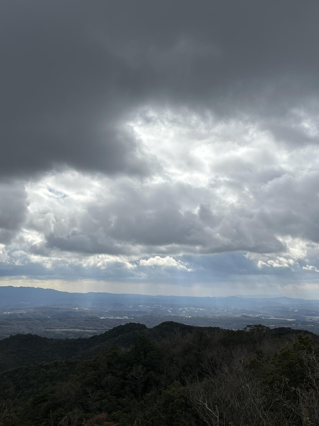 三草山 / pon-pokoさんの三草山の活動データ | YAMAP / ヤマップ