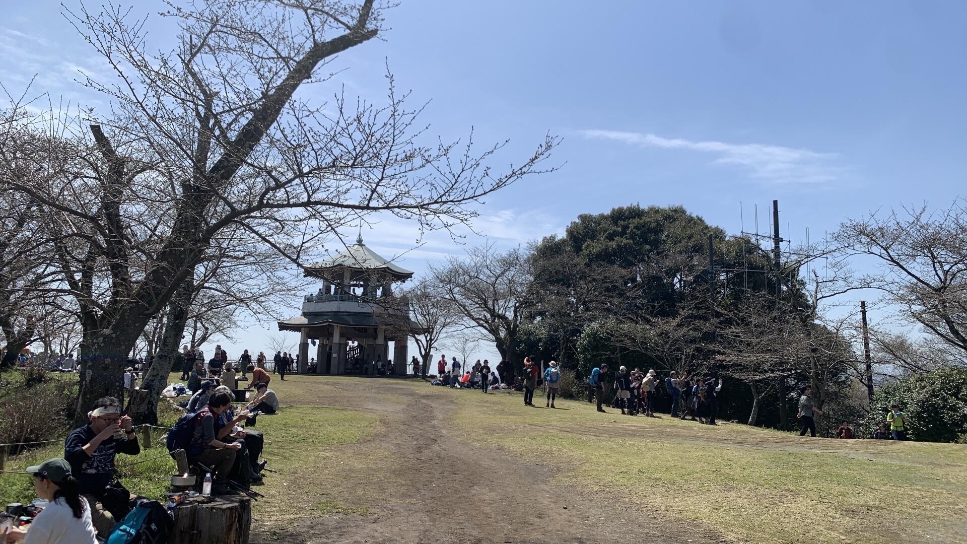 弘法山公園桜🌸情報 3/30(土)時点... / kosmasさんのモーメント | YAMAP / ヤマップ