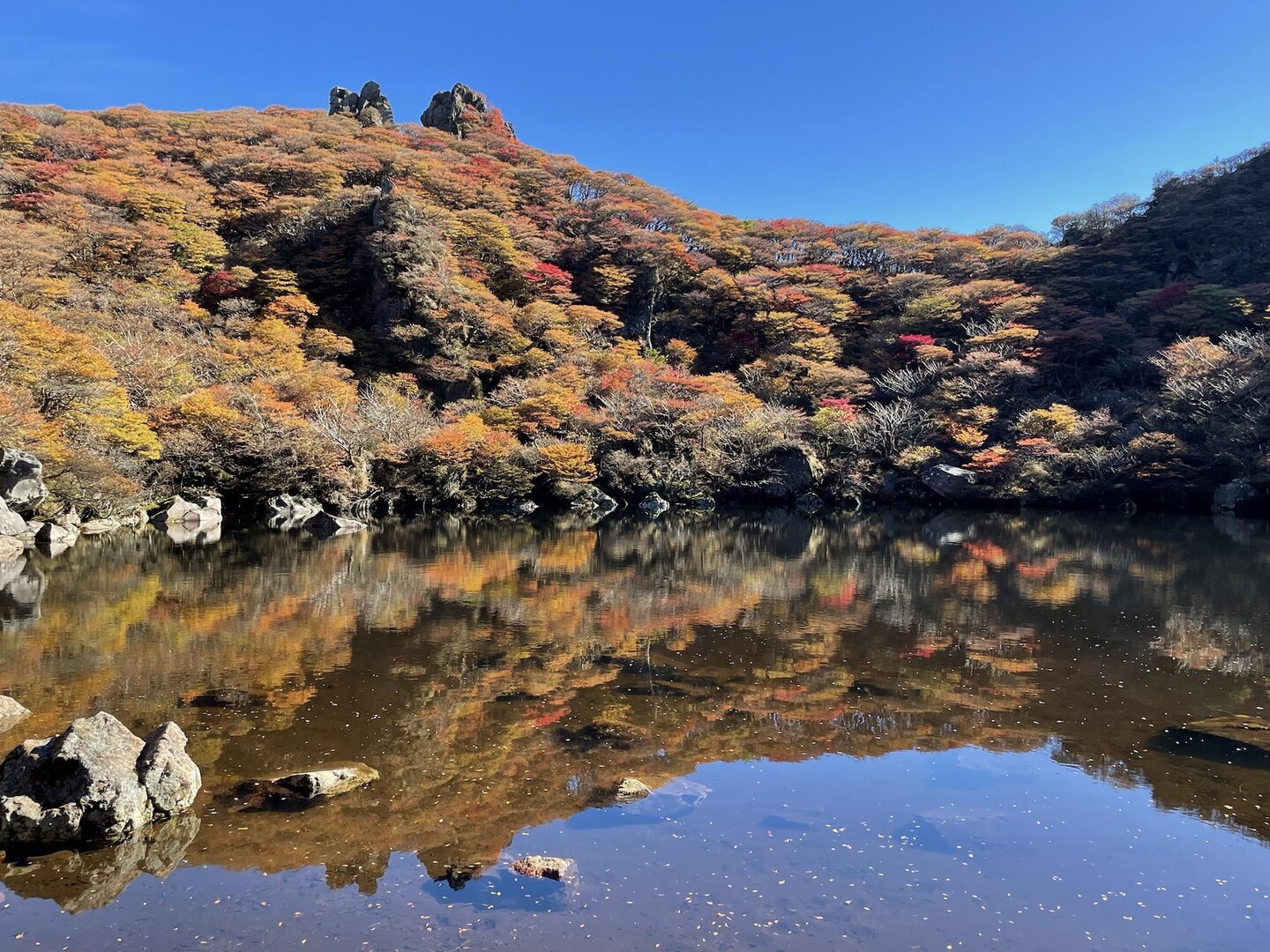 紅葉の大船山🍁 / kumiさんの九重山（久住山）・大船山・星生山の活動データ | YAMAP / ヤマップ
