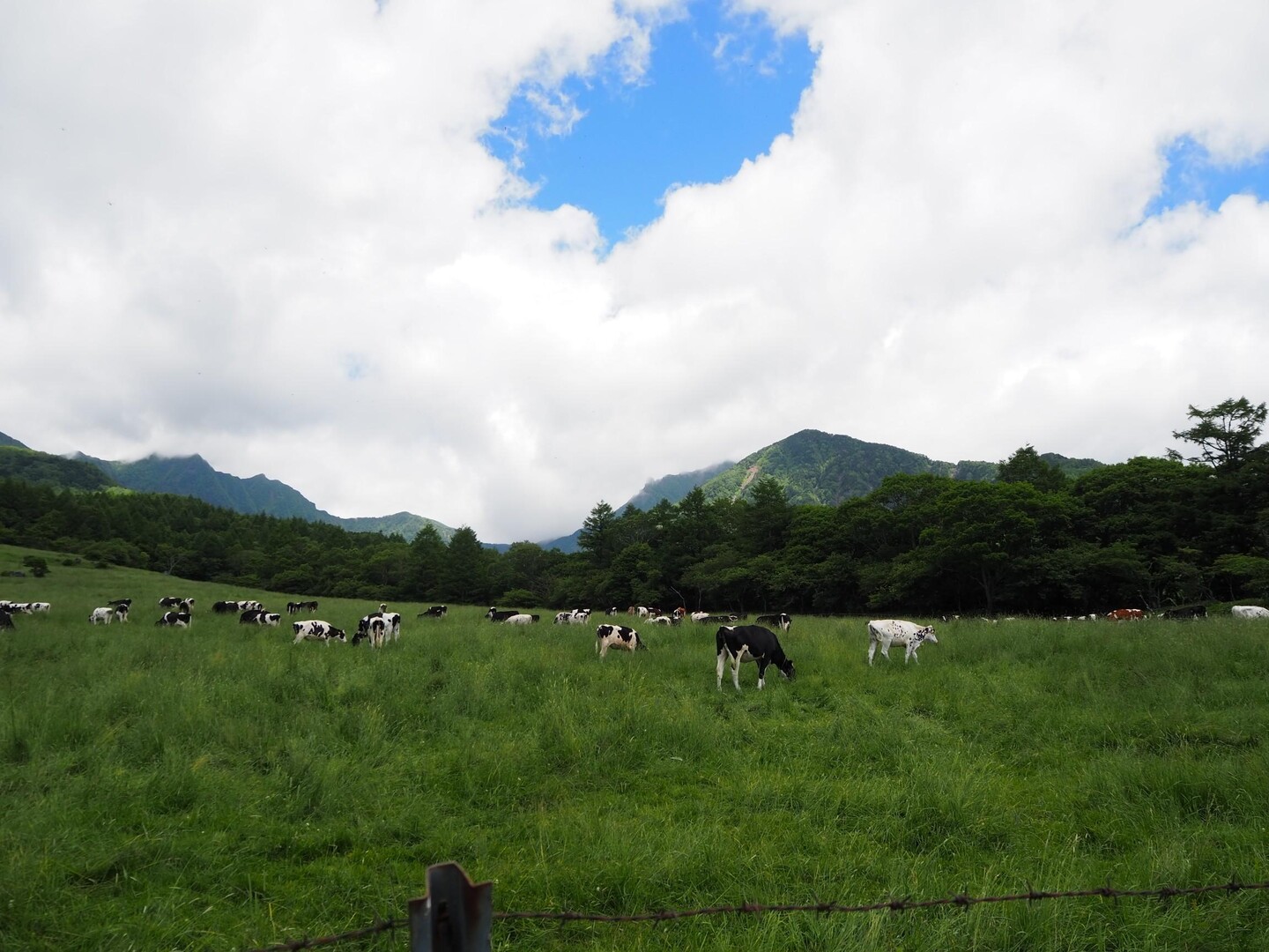 美し森山・天女山 / emuさんの飯盛山の活動データ | YAMAP / ヤマップ