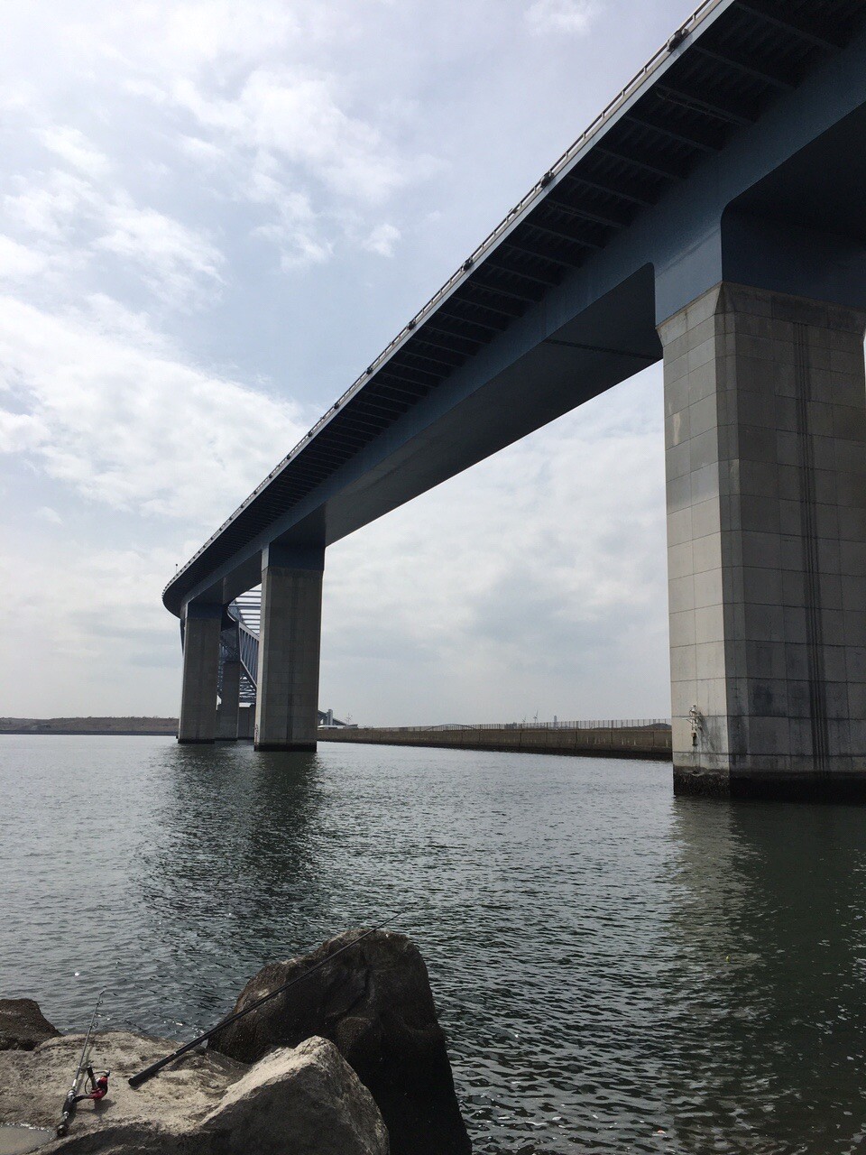 サイクリング-2021-03-20 / Chi kiidaさんのランニングの活動データ | YAMAP / ヤマップ