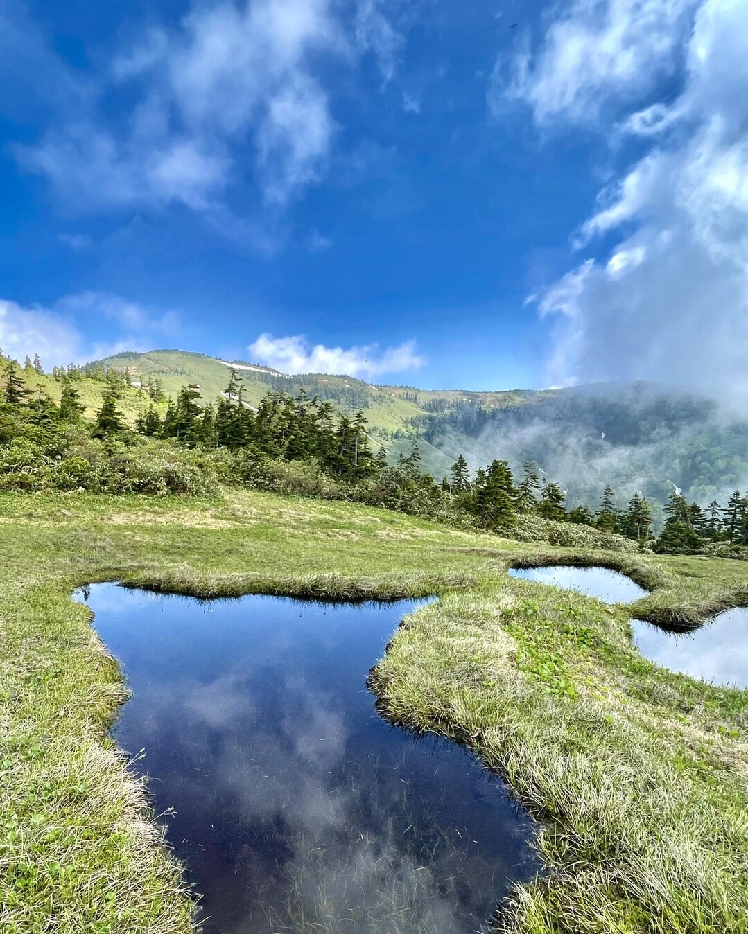 会津駒ヶ岳 2,133m / nさんの会津駒ヶ岳の活動データ | YAMAP / ヤマップ