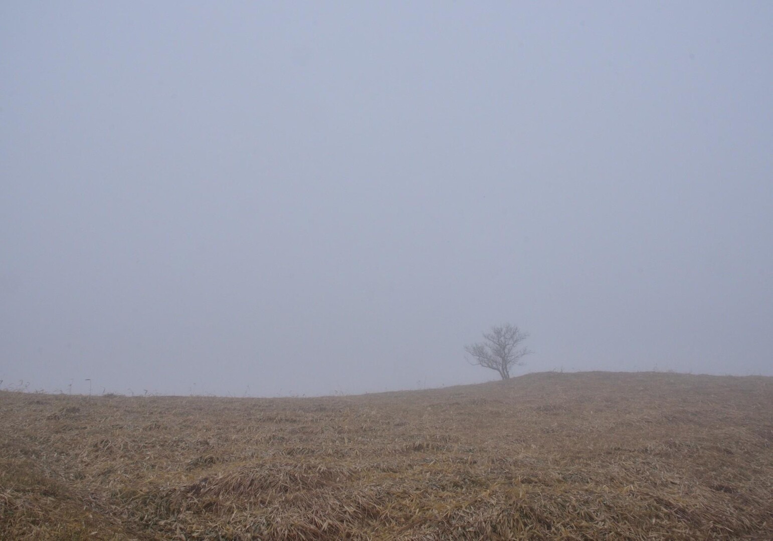晴れるかな～大和葛城山☁️ / ⛅Nori-jiさんの金剛山・二上山・大和葛城山の活動データ | YAMAP / ヤマップ