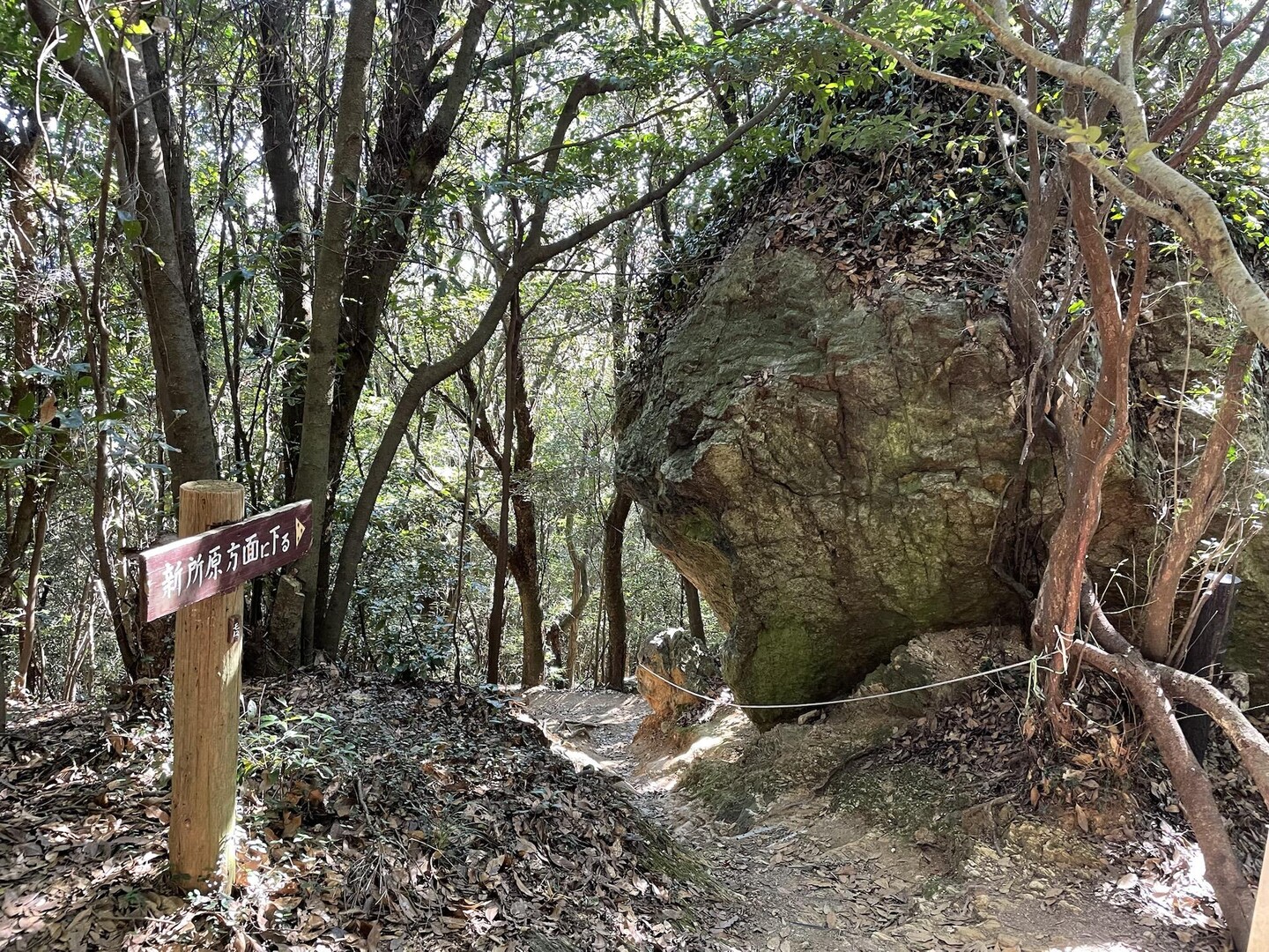 身近なGod Stone Mt.まで山歩 / mattさんの坊ヶ峰・石巻山・神石山・葦毛湿原の活動データ | YAMAP / ヤマップ