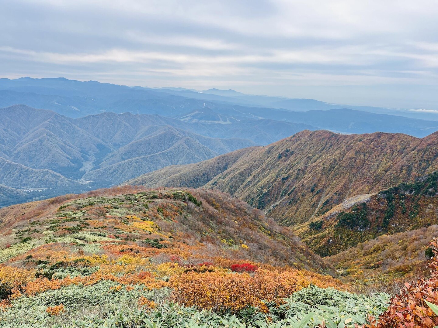 🍁巻機山で愛を叫ぶ⛰️😍 / COROさんの巻機山・割引岳・金城山の活動データ | YAMAP / ヤマップ