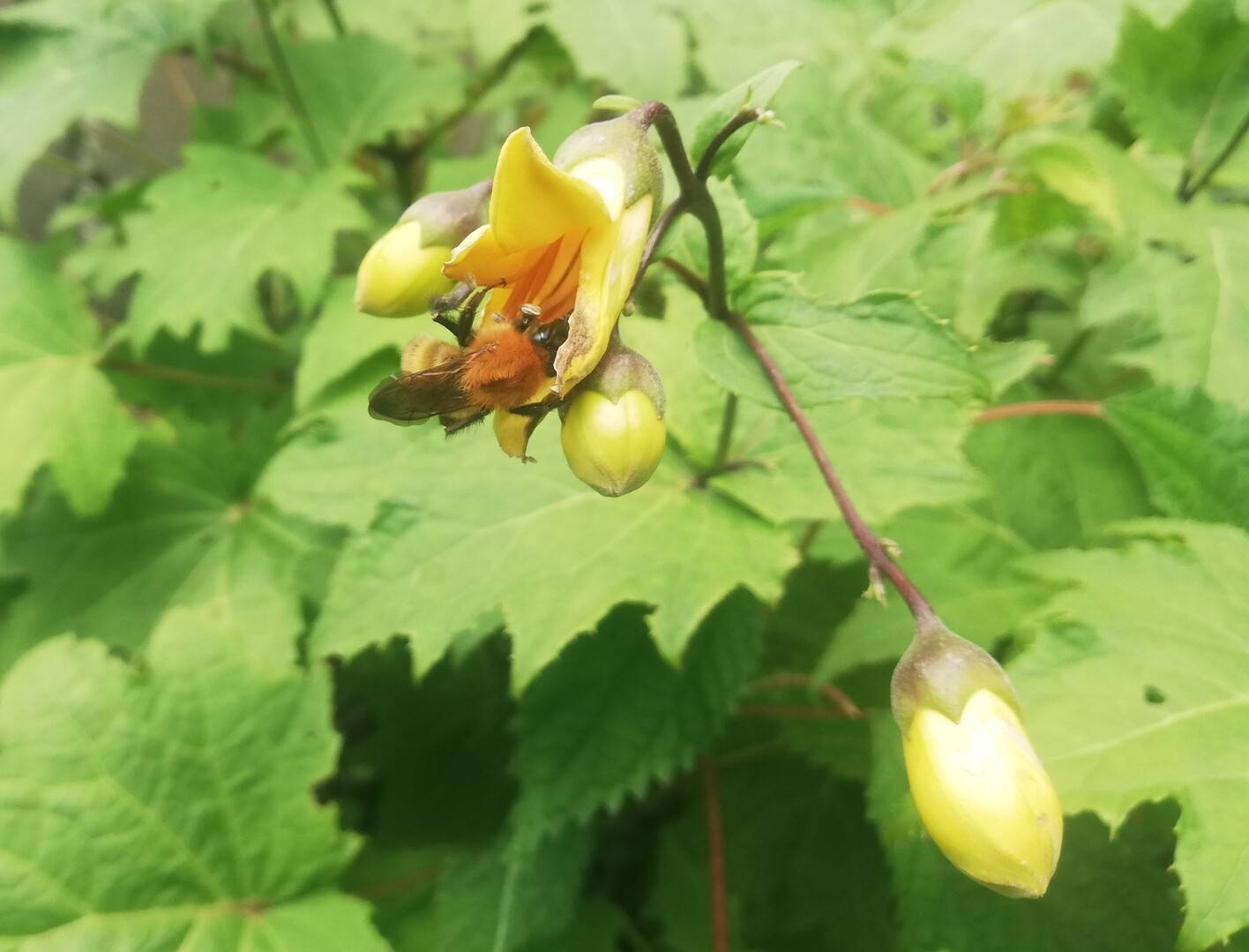 今年初めての剣山⛰️ / Mt. 3776さんの剣山の活動データ | YAMAP / ヤマップ
