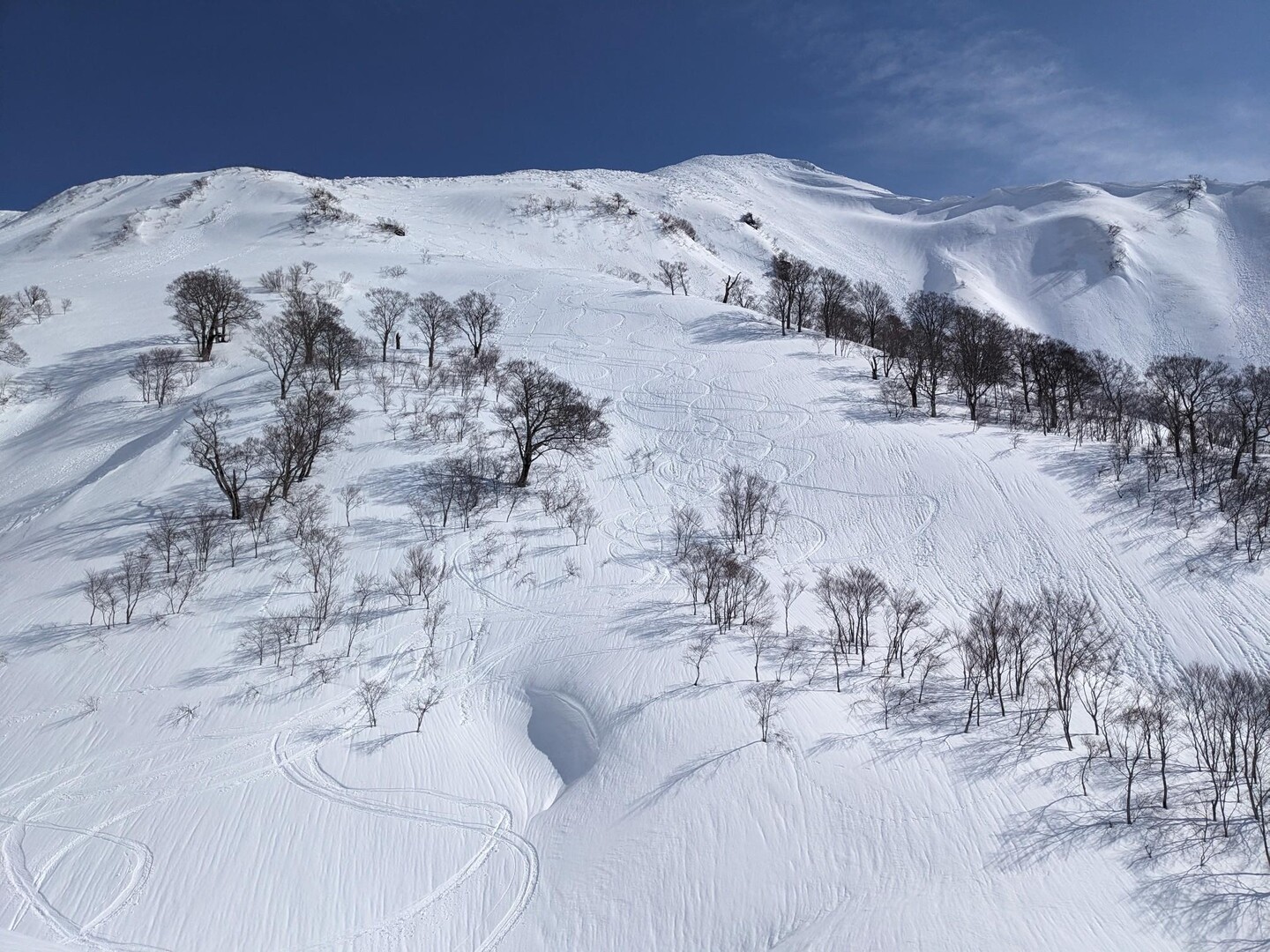 湯殿山BC / haru.isoさんの月山の活動データ | YAMAP / ヤマップ