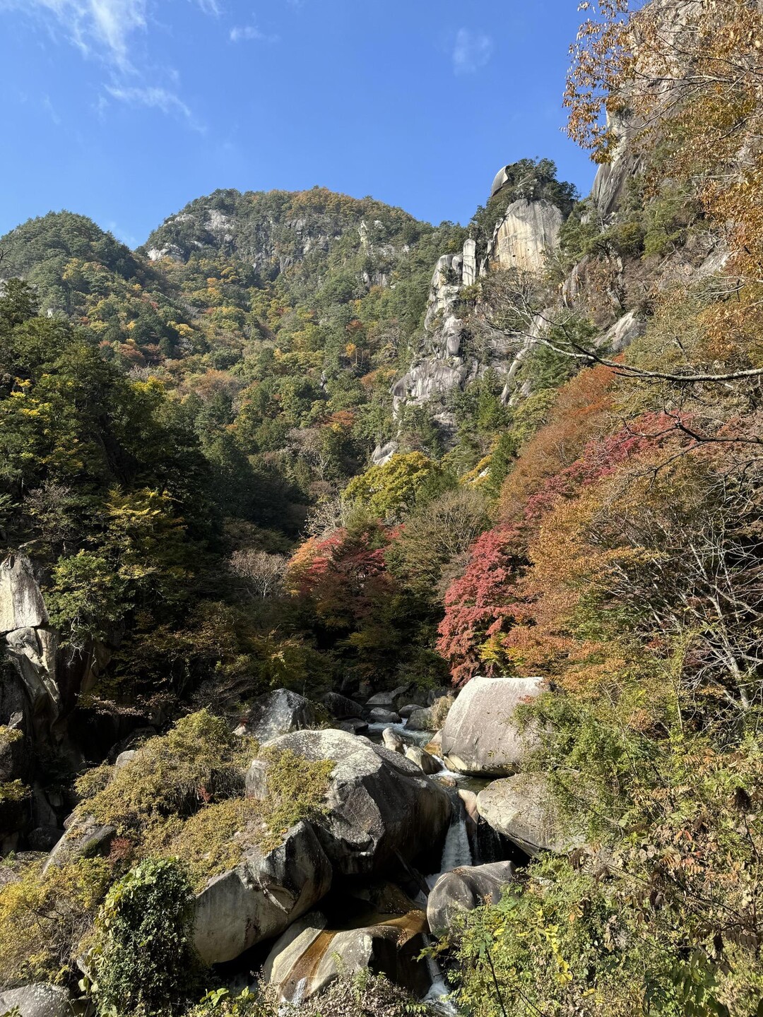 覚円峯・弥三郎岳（羅漢寺山）・白砂山・鷹の巣山 / xylishさんの弥三郎岳（羅漢寺山）の活動データ | YAMAP / ヤマップ