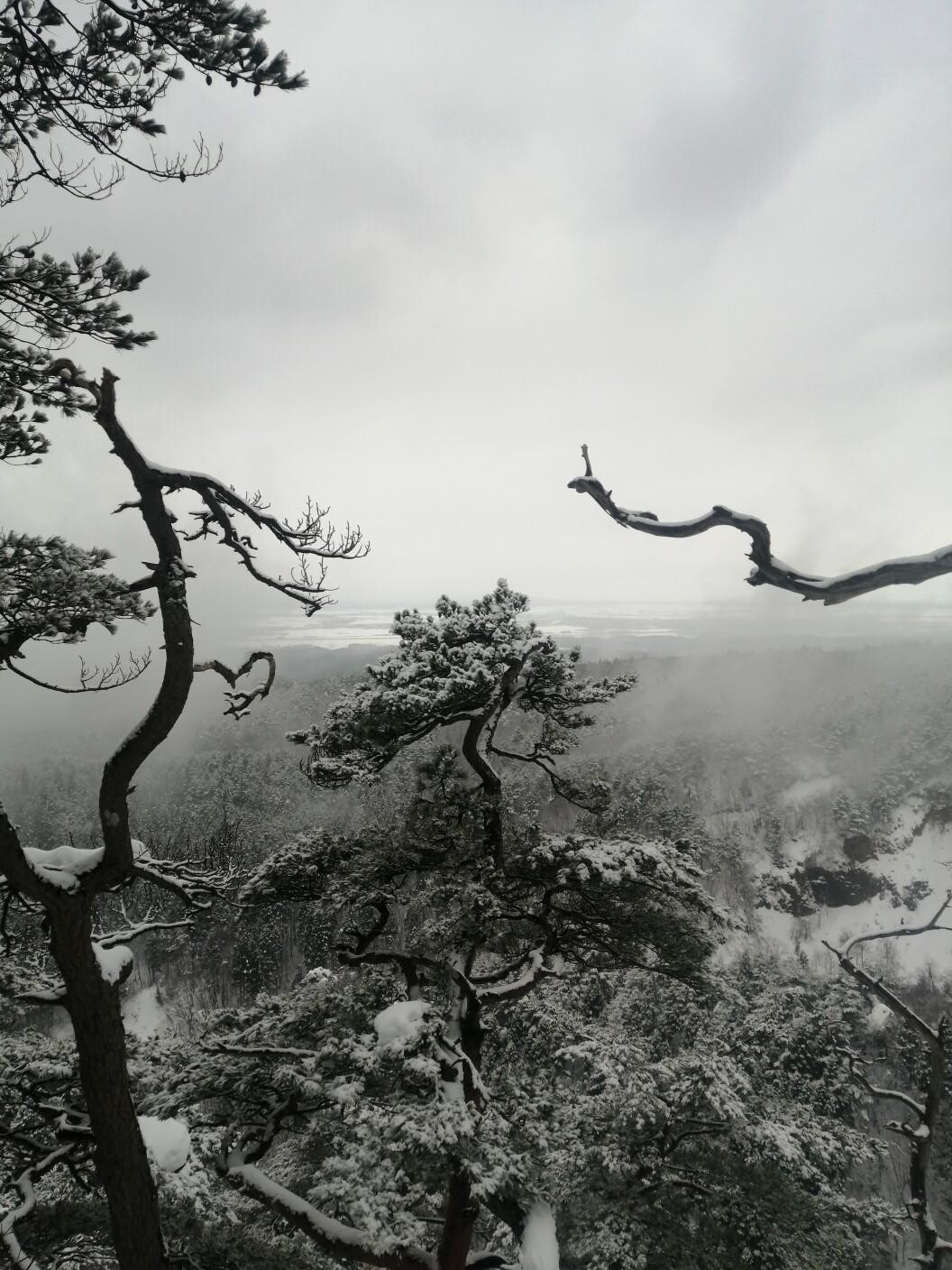 登り納め梵珠山 / TK-1111さんの梵珠山の活動データ | YAMAP / ヤマップ