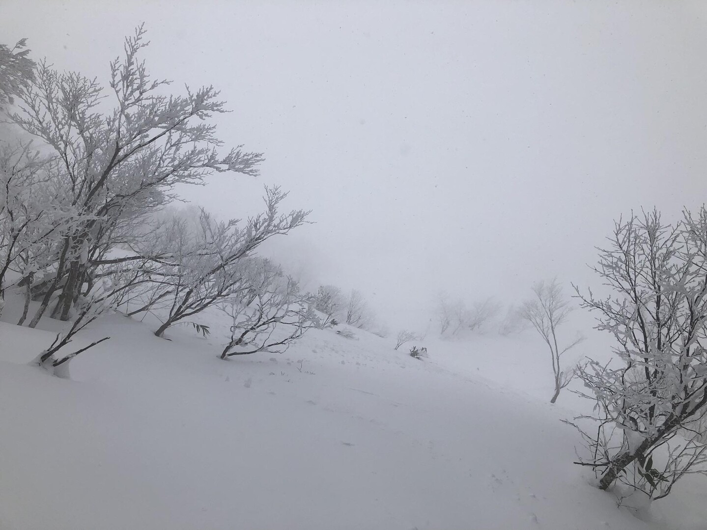 銅像ルートBC 本日も前嶽登頂ならず… / snow@ystさんの八甲田山・高田大岳・雛岳の活動データ | YAMAP / ヤマップ