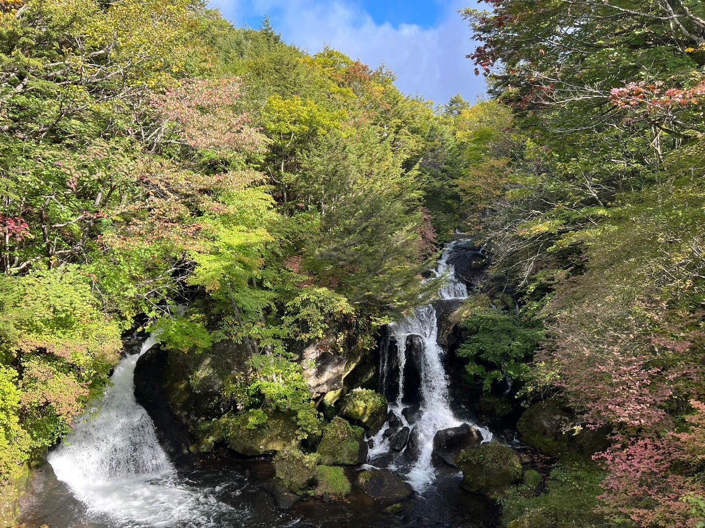 高山 / sora178さんの男体山の活動データ | YAMAP / ヤマップ